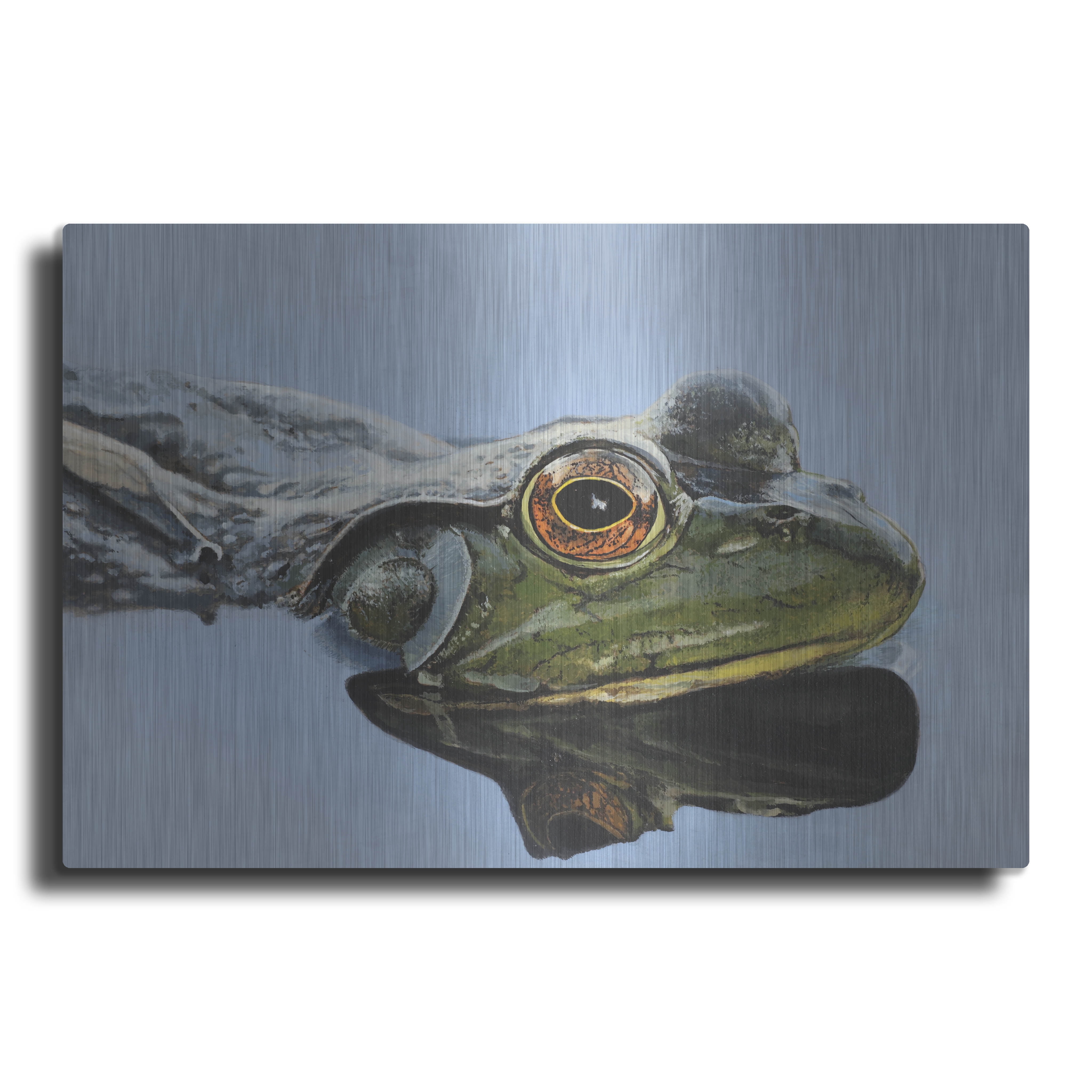 Luxe Metal Art 'Bullfrog' by Jim Brune Metal Wall Art, 36" x 24 ...