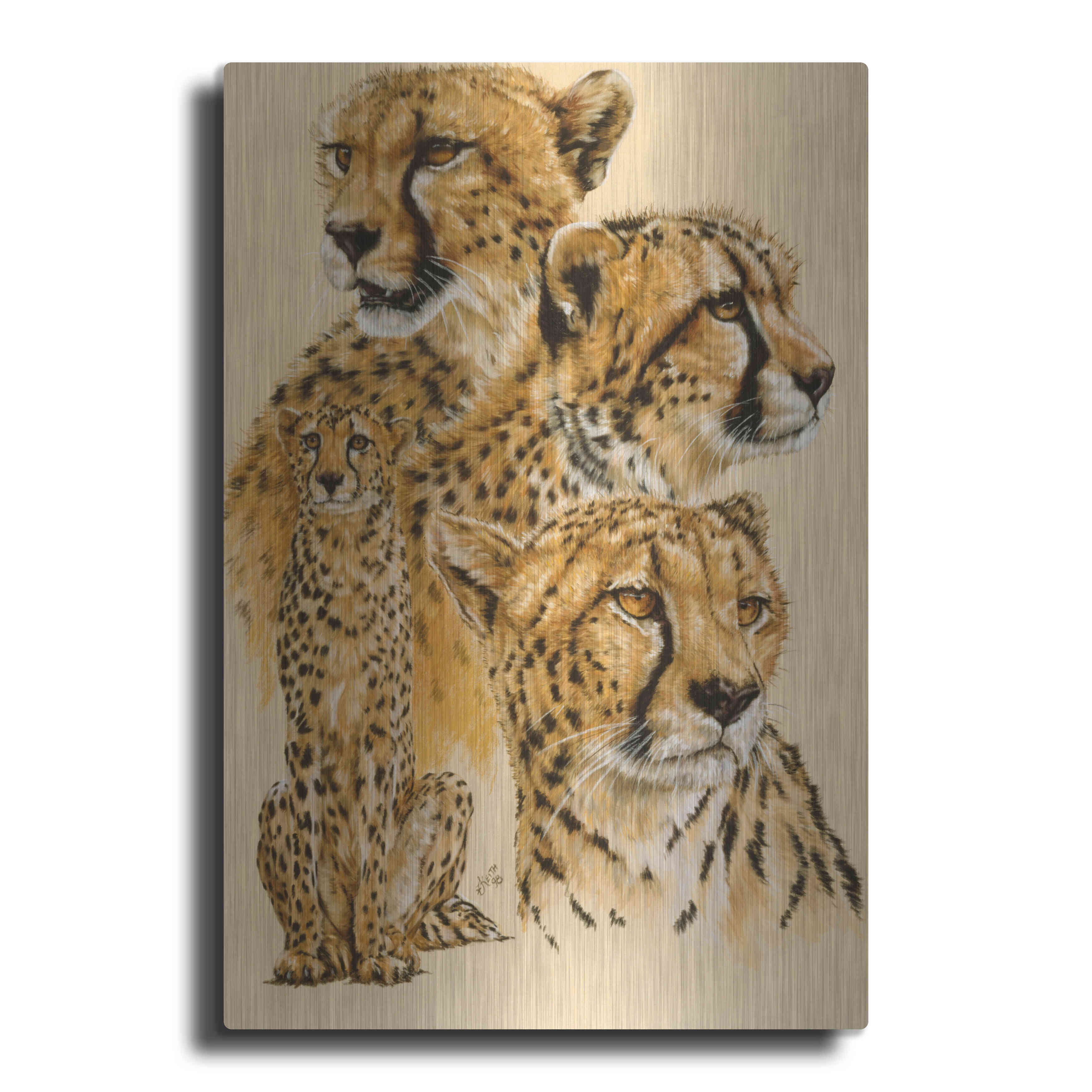 Luxe Metal Art 'Celerity' by Barbara Keith, Metal Wall Art, 16"x24 ...