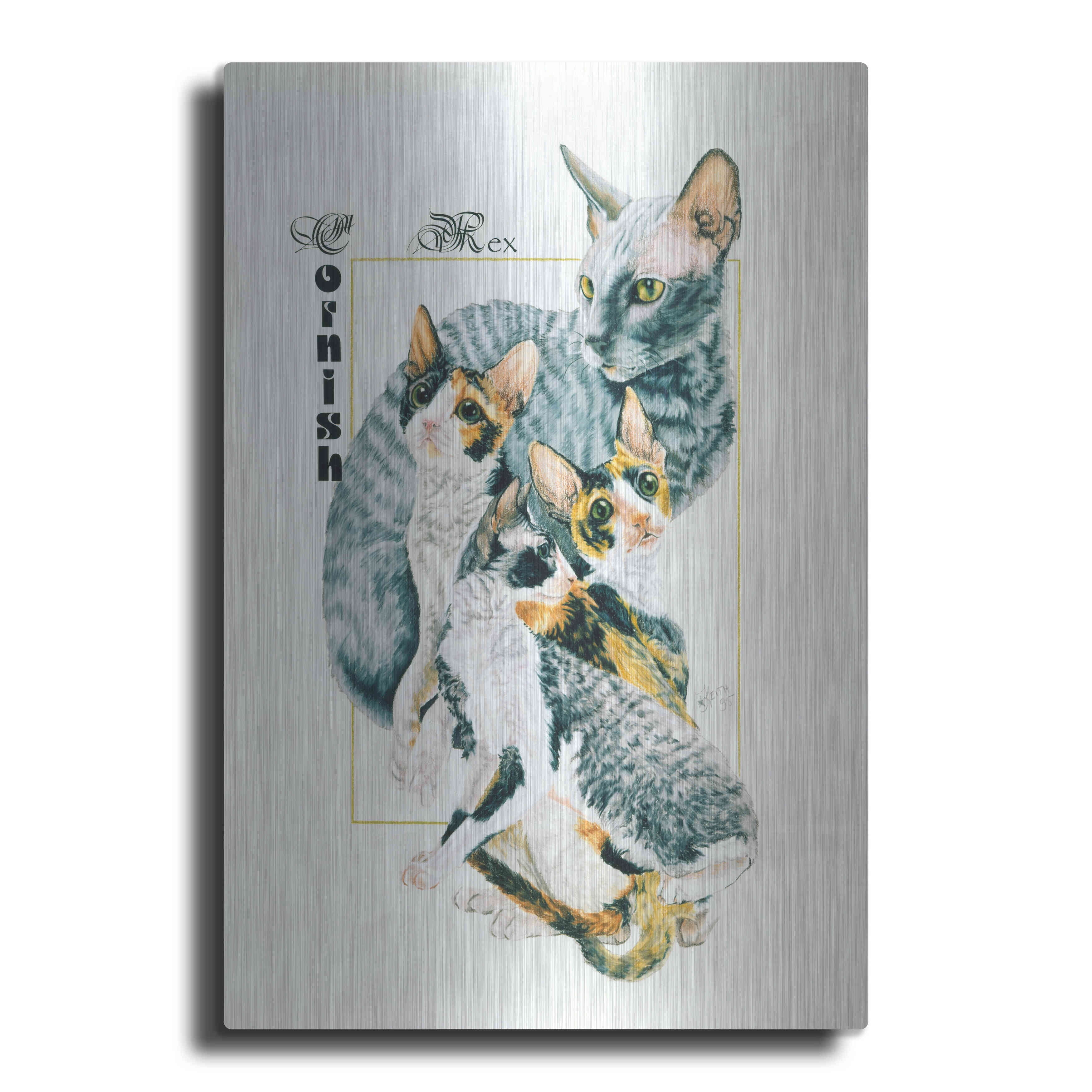 Luxe Metal Art 'Cornish Rex' by Barbara Keith, Metal Wall Art, 12"x16 ...