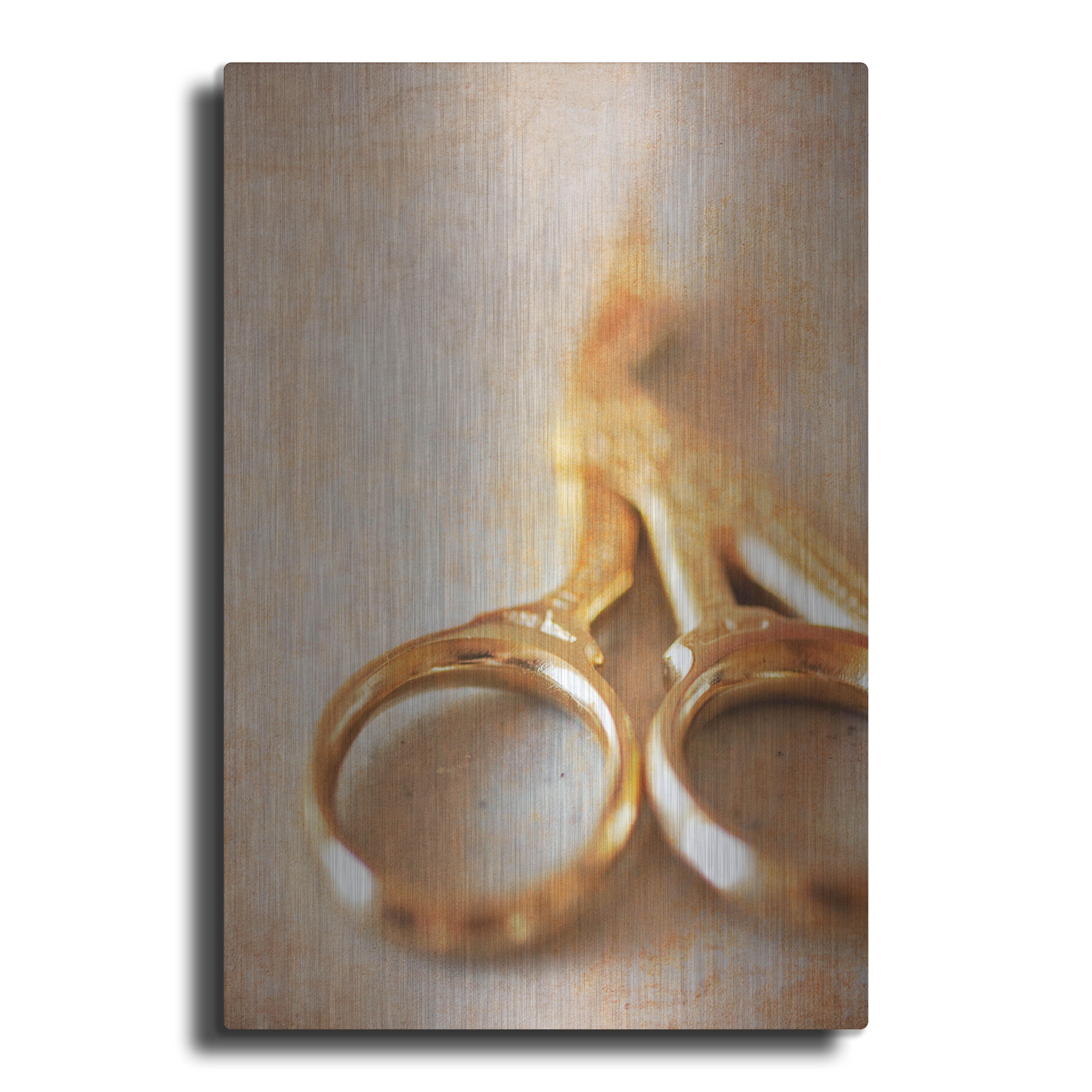 Luxe Metal Art 'Crane Scissors' by Jessica Rogers, Metal Wall Art, 24 ...