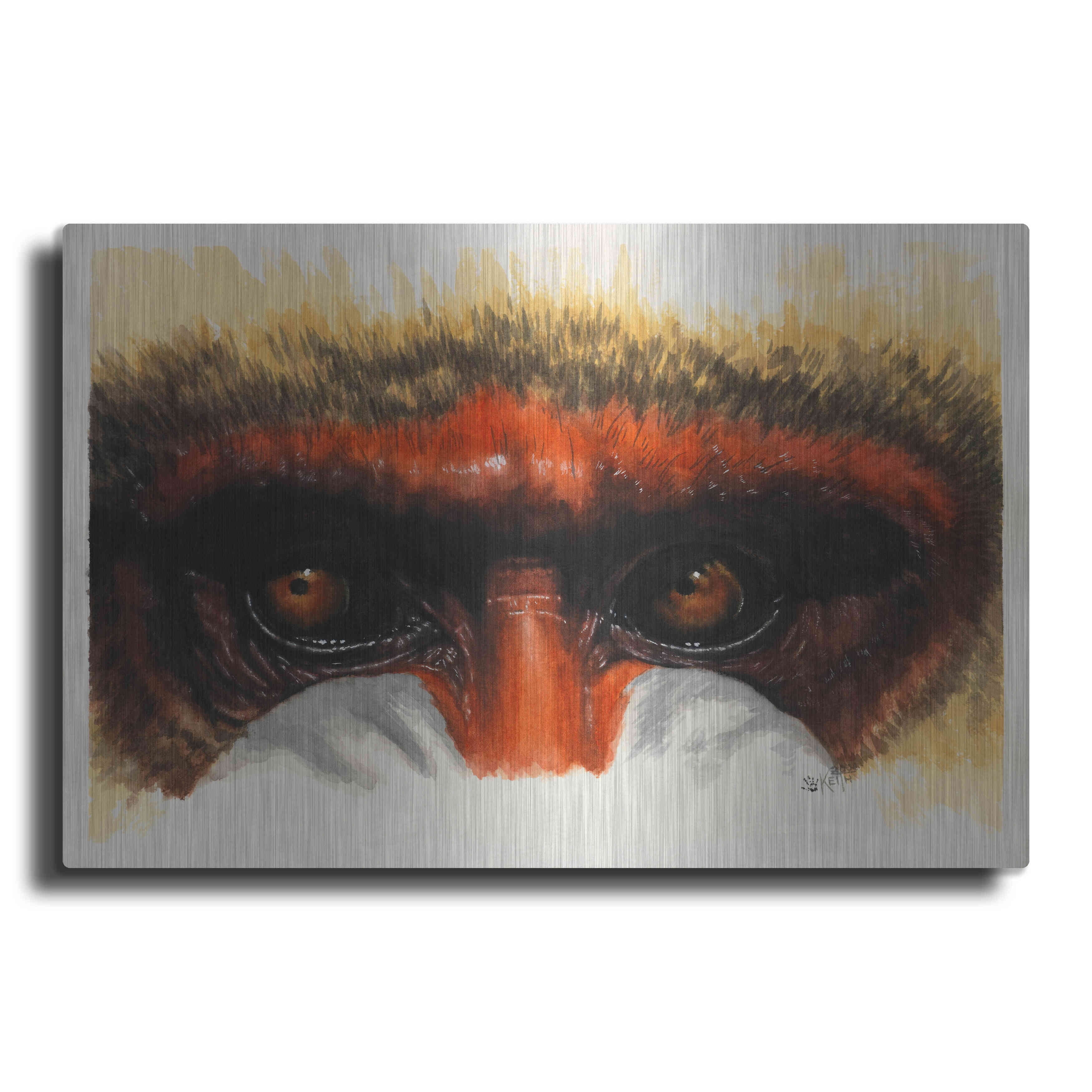 Luxe Metal Art 'Eye-Catching' by Barbara Keith, Metal Wall Art, 24"x16 ...