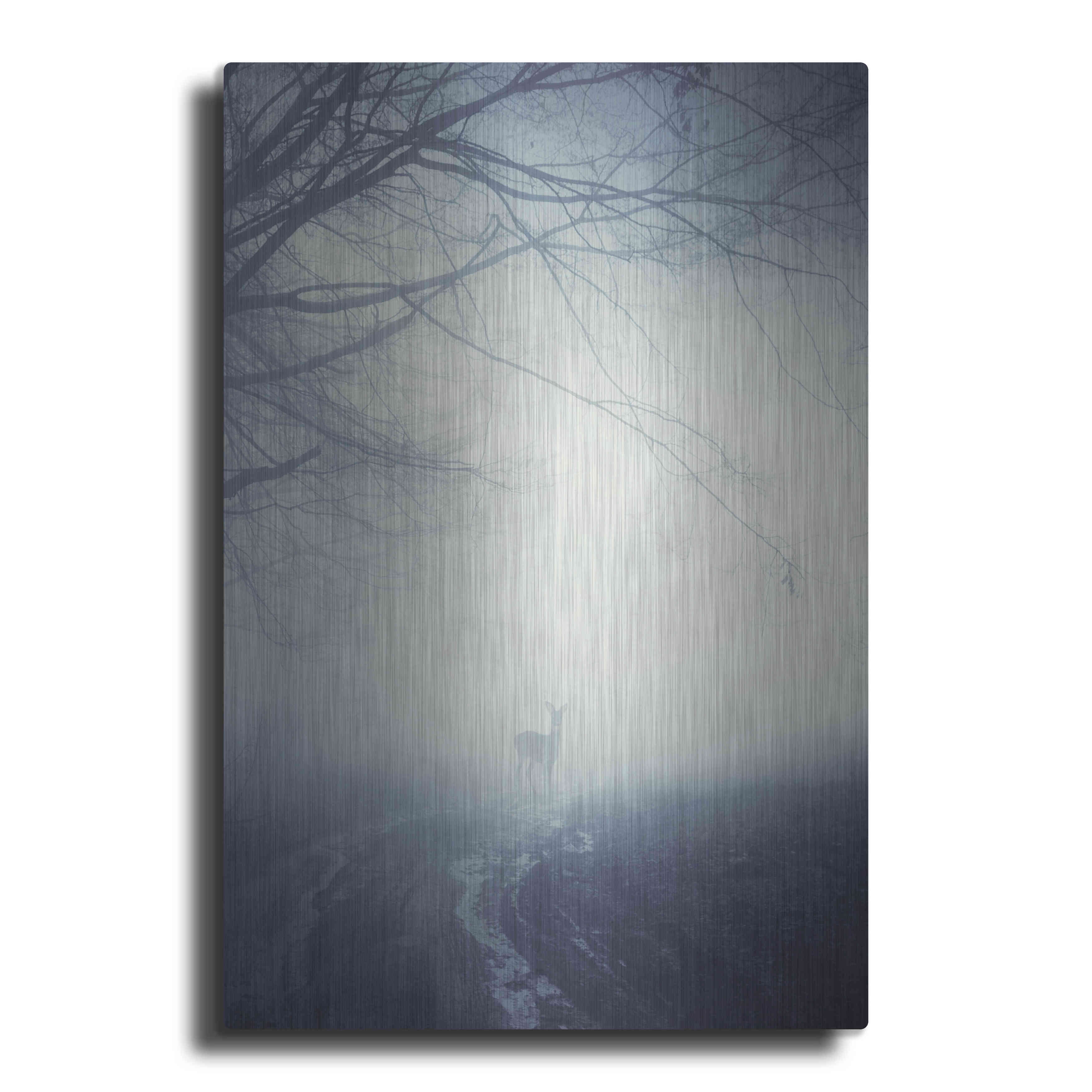 Luxe Metal Art 'Foggy Morning Hike' by Incado, Metal Wall Art, 24"x36 ...
