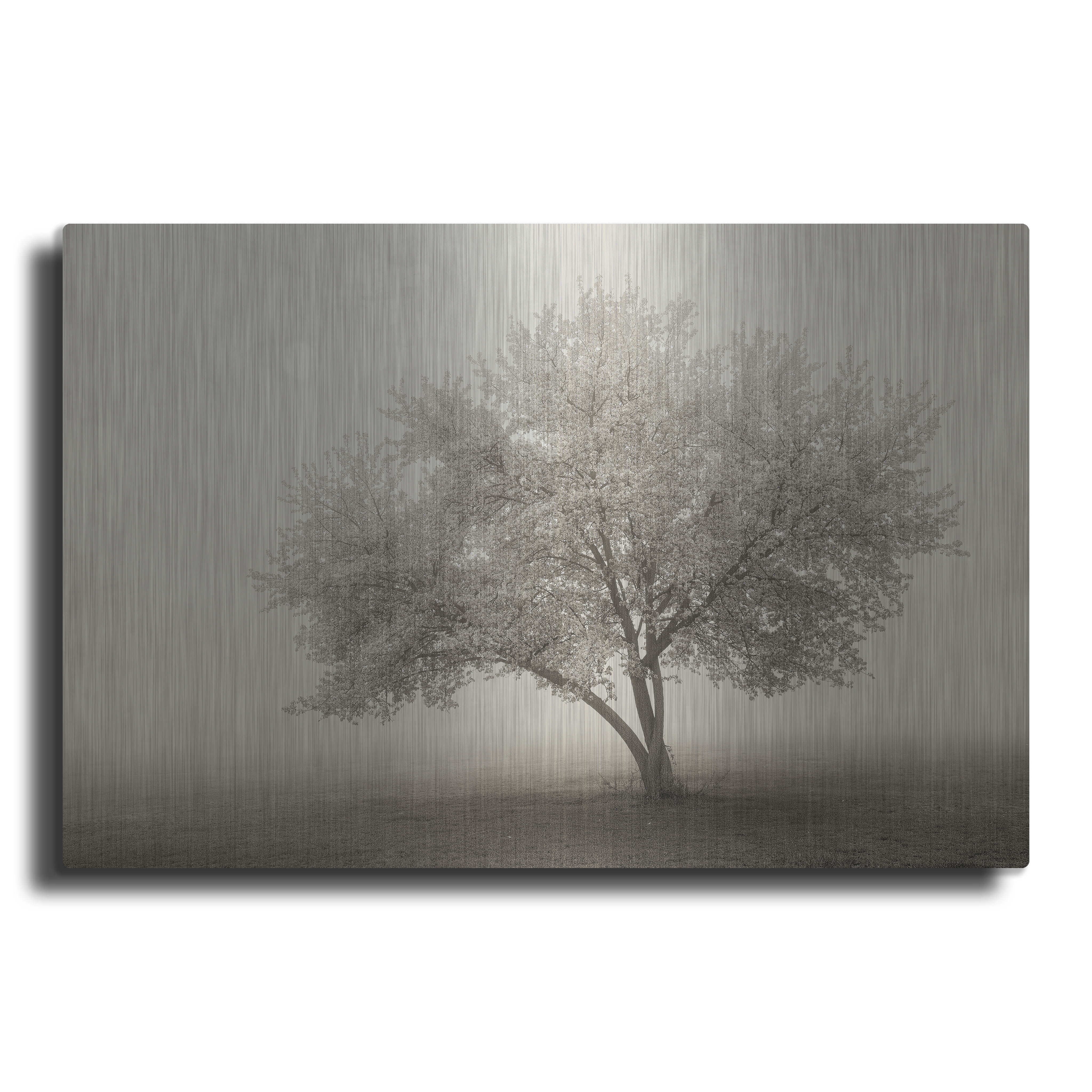 Luxe Metal Art ' Forever Spring' by Igor Svibilsky, Metal Wall Art, 24 ...