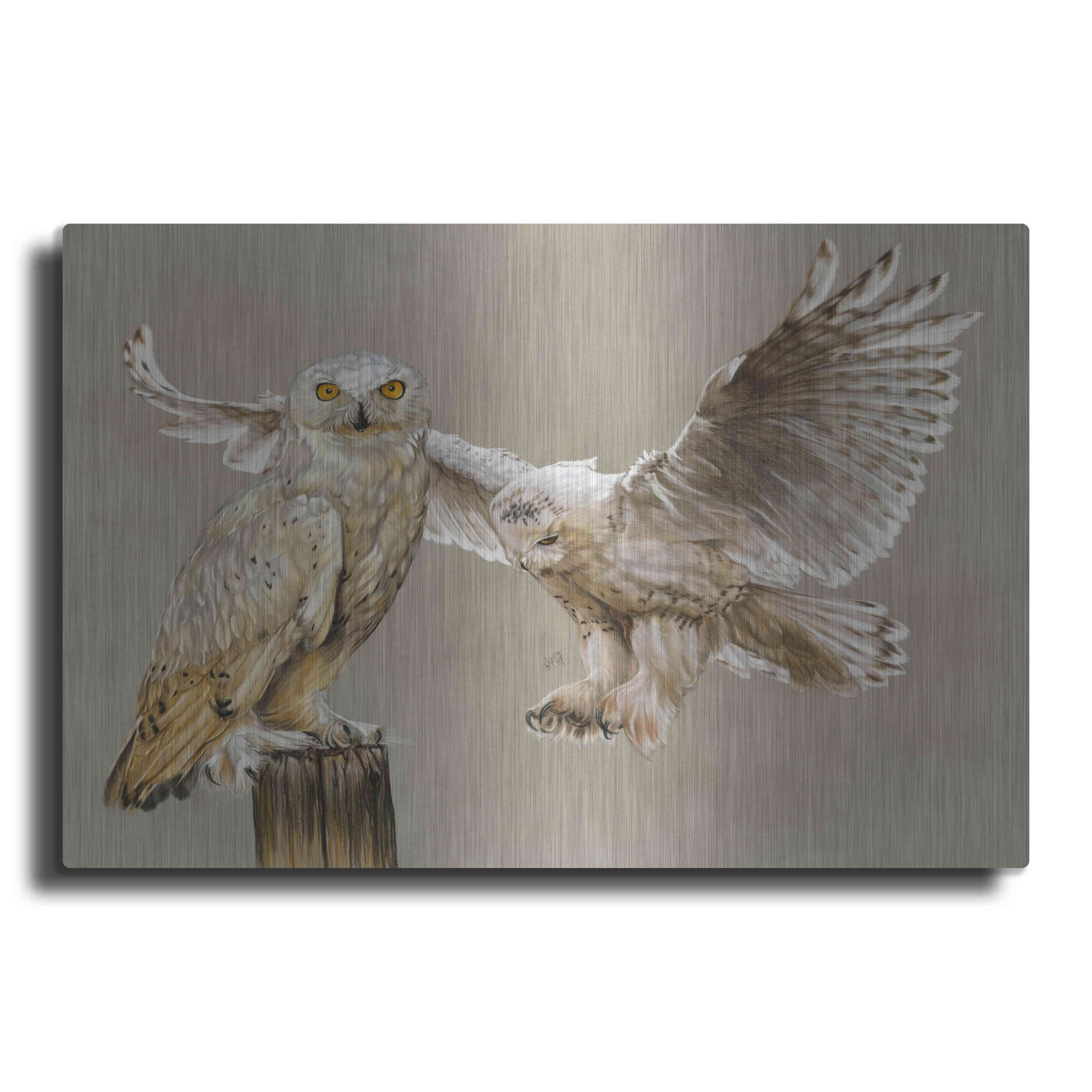Luxe Metal Art 'Halcyon' by Barbara Keith, Metal Wall Art, 24"x16 ...