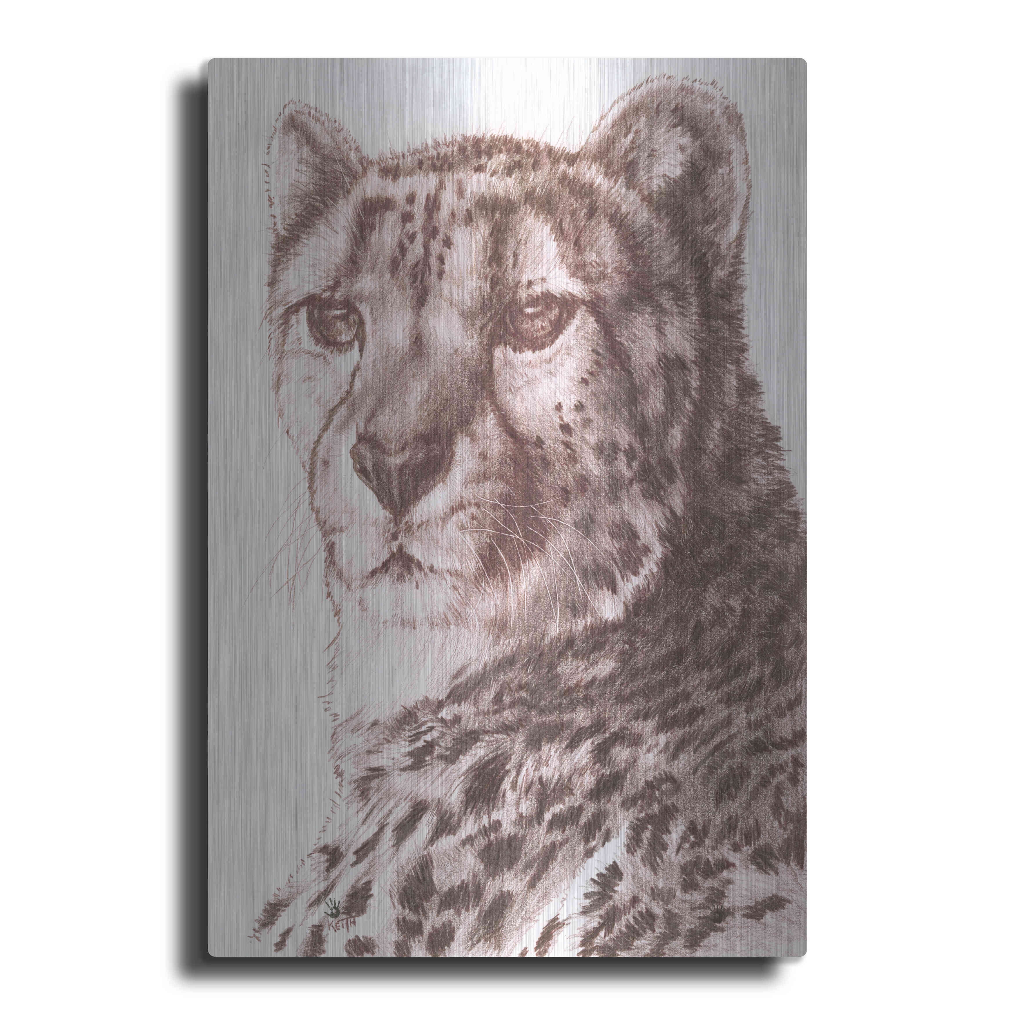 Luxe Metal Art 'Haste' by Barbara Keith, Metal Wall Art, 16"x24 ...