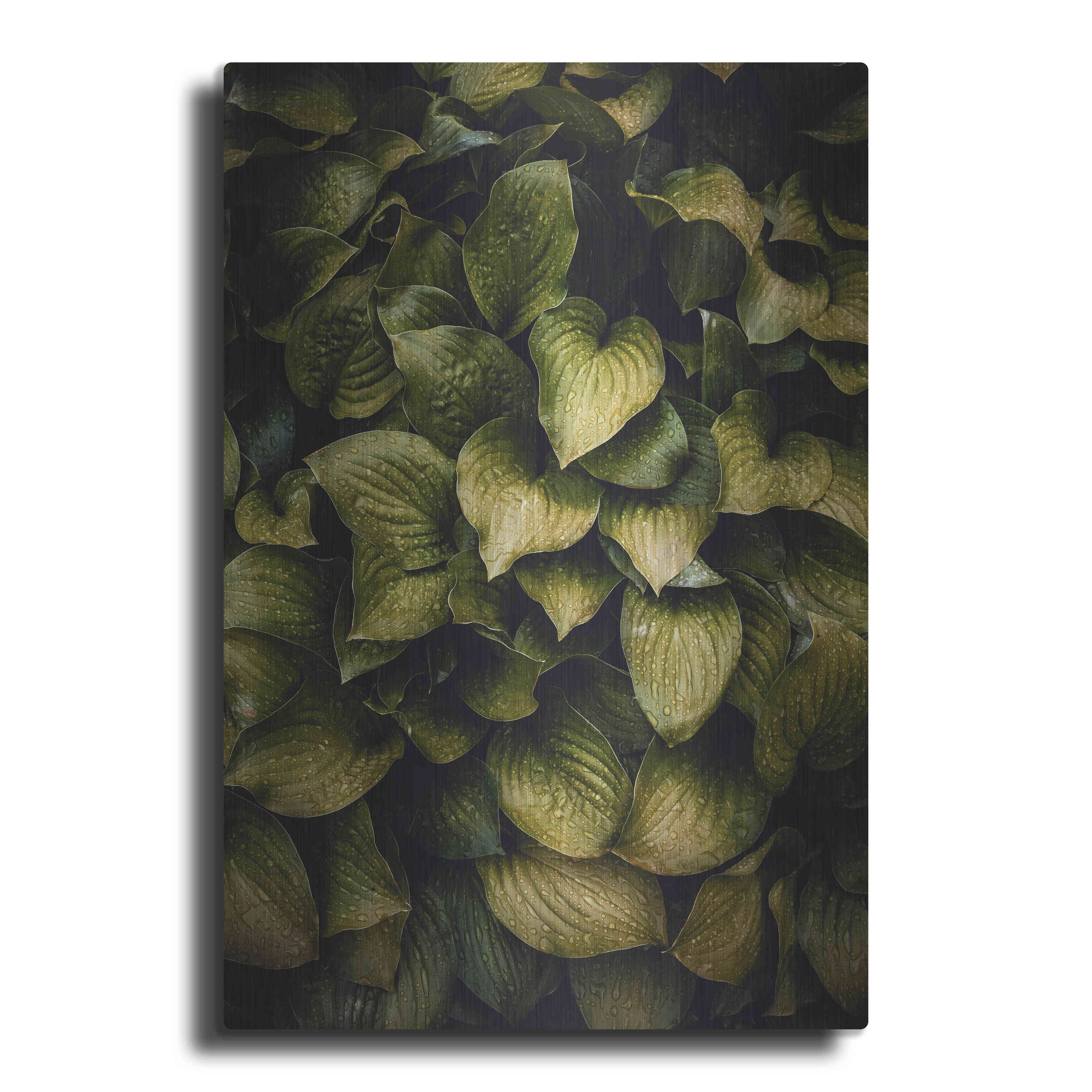 Luxe Metal Art 'Hostas Leaves' by Incado, Metal Wall Art, 16"x24 ...