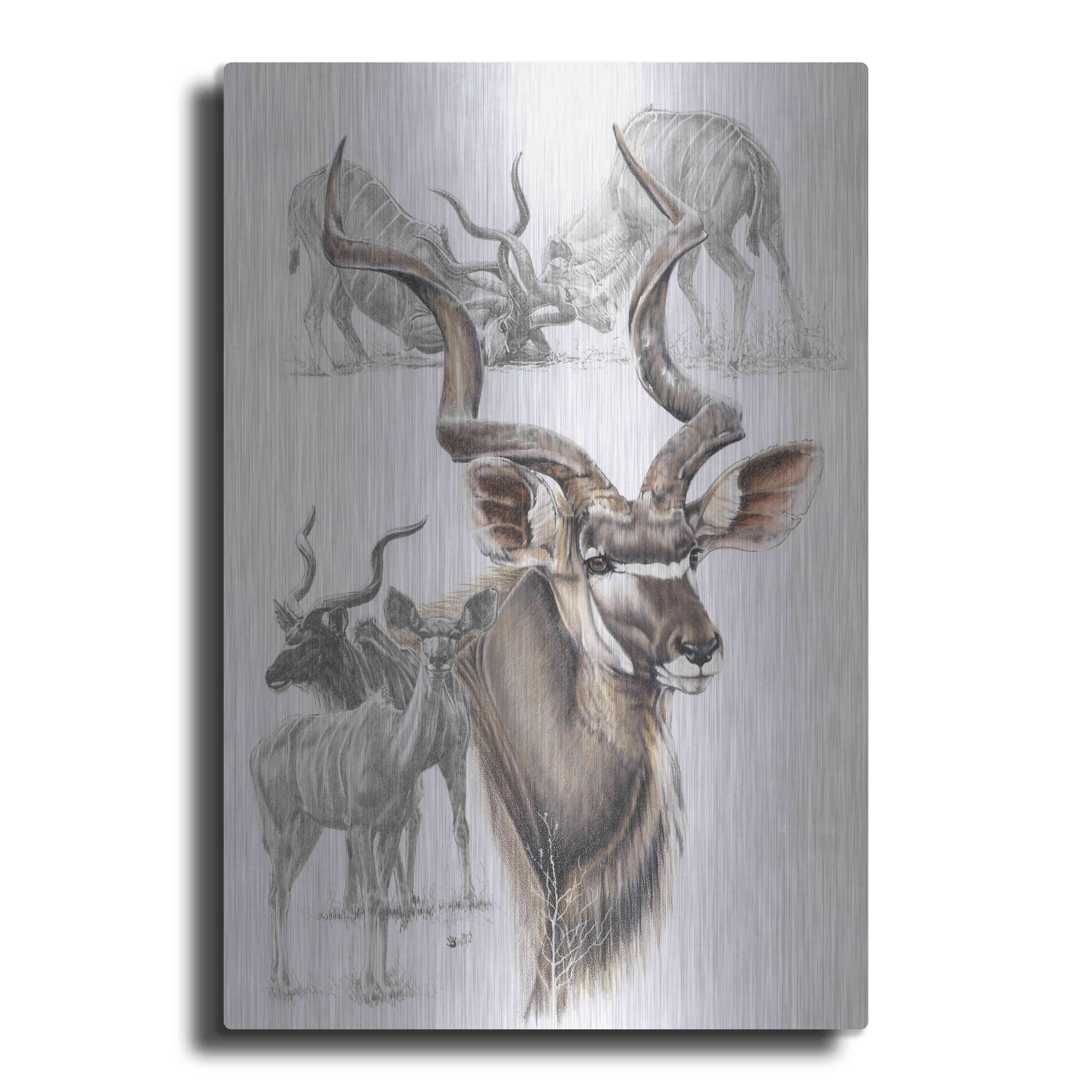 Luxe Metal Art 'Kudu' by Barbara Keith, Metal Wall Art, 16"x24 ...