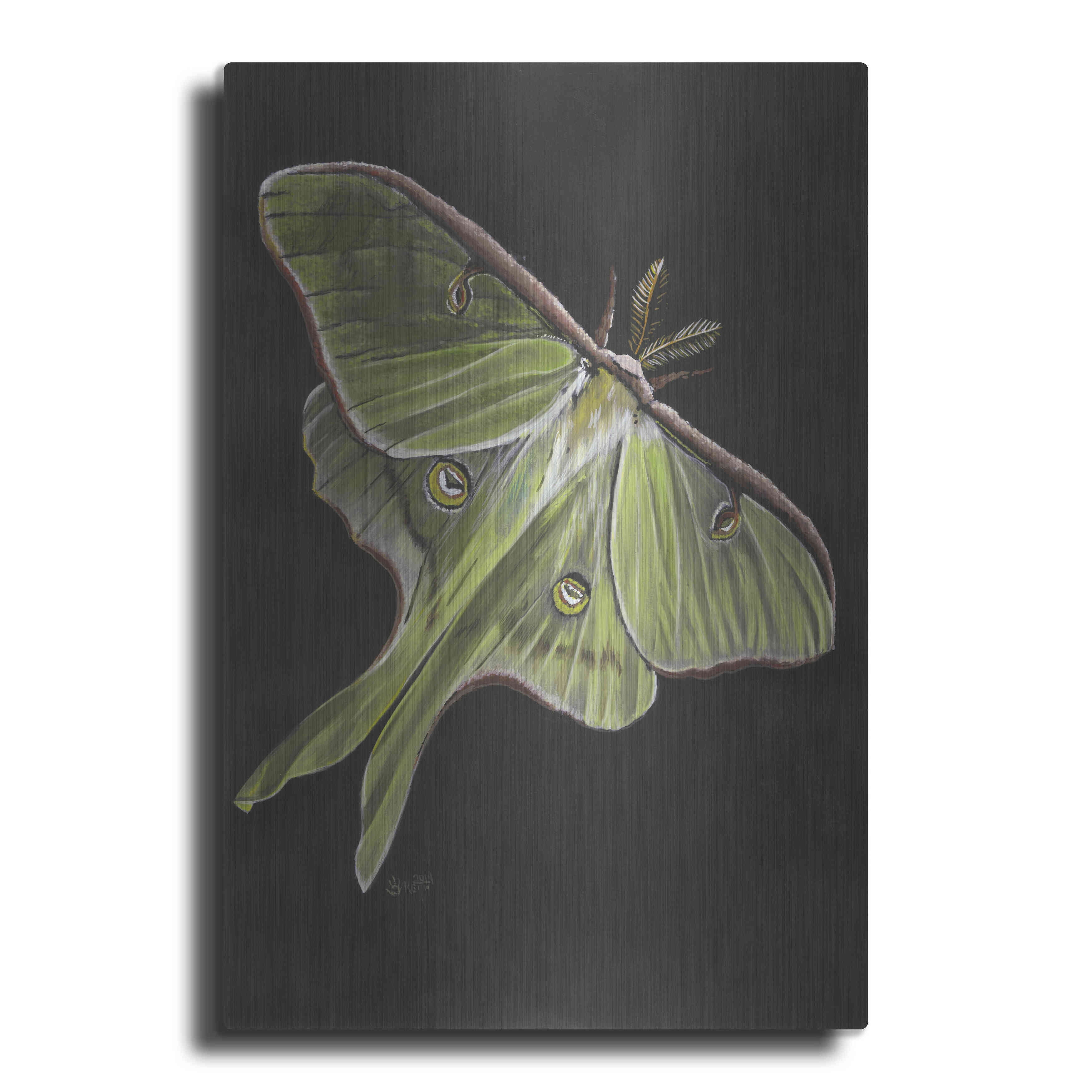 Luxe Metal Art 'Luna' by Barbara Keith, Metal Wall Art, 12"x16 ...