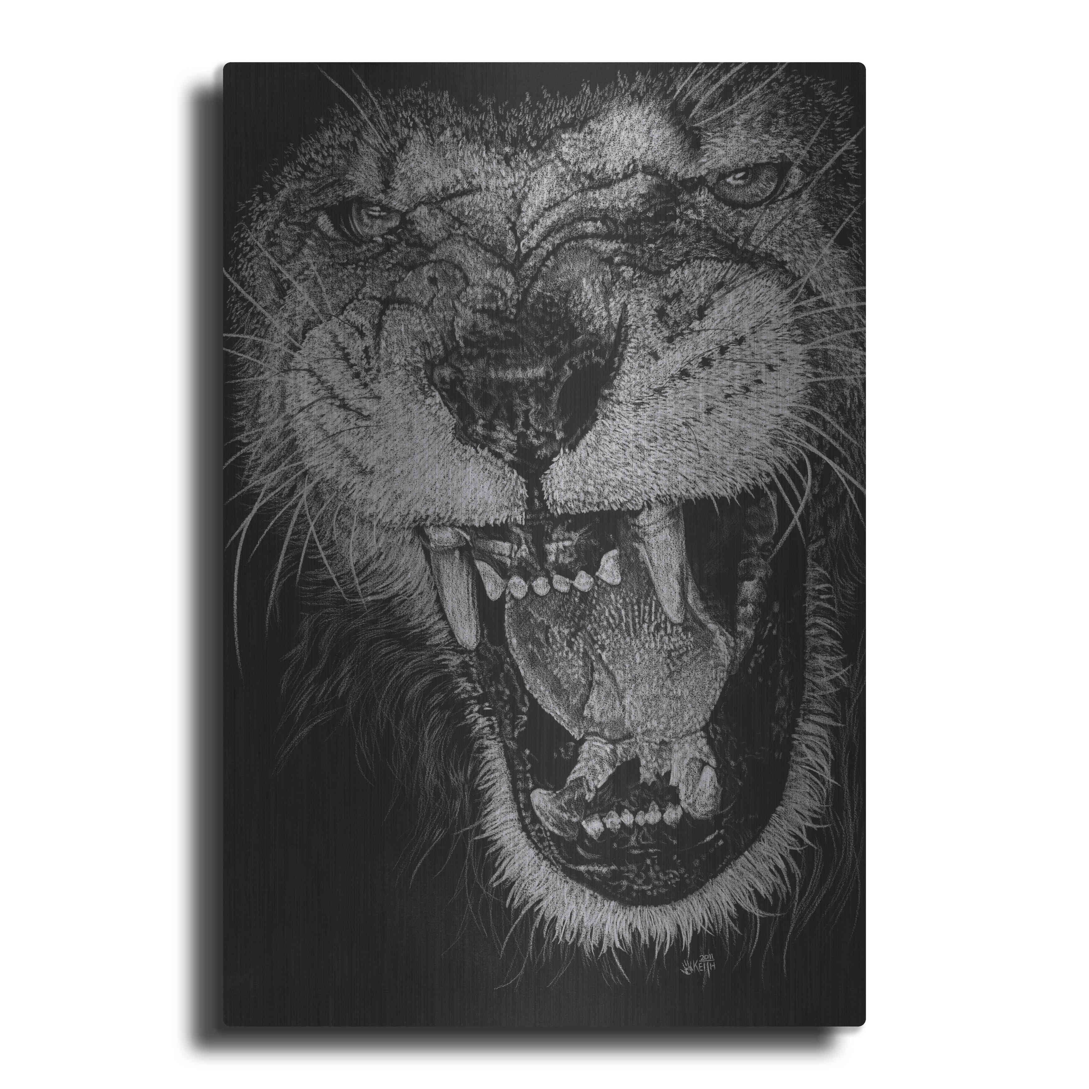 Luxe Metal Art 'Madness' by Barbara Keith, Metal Wall Art, 24"x36 ...