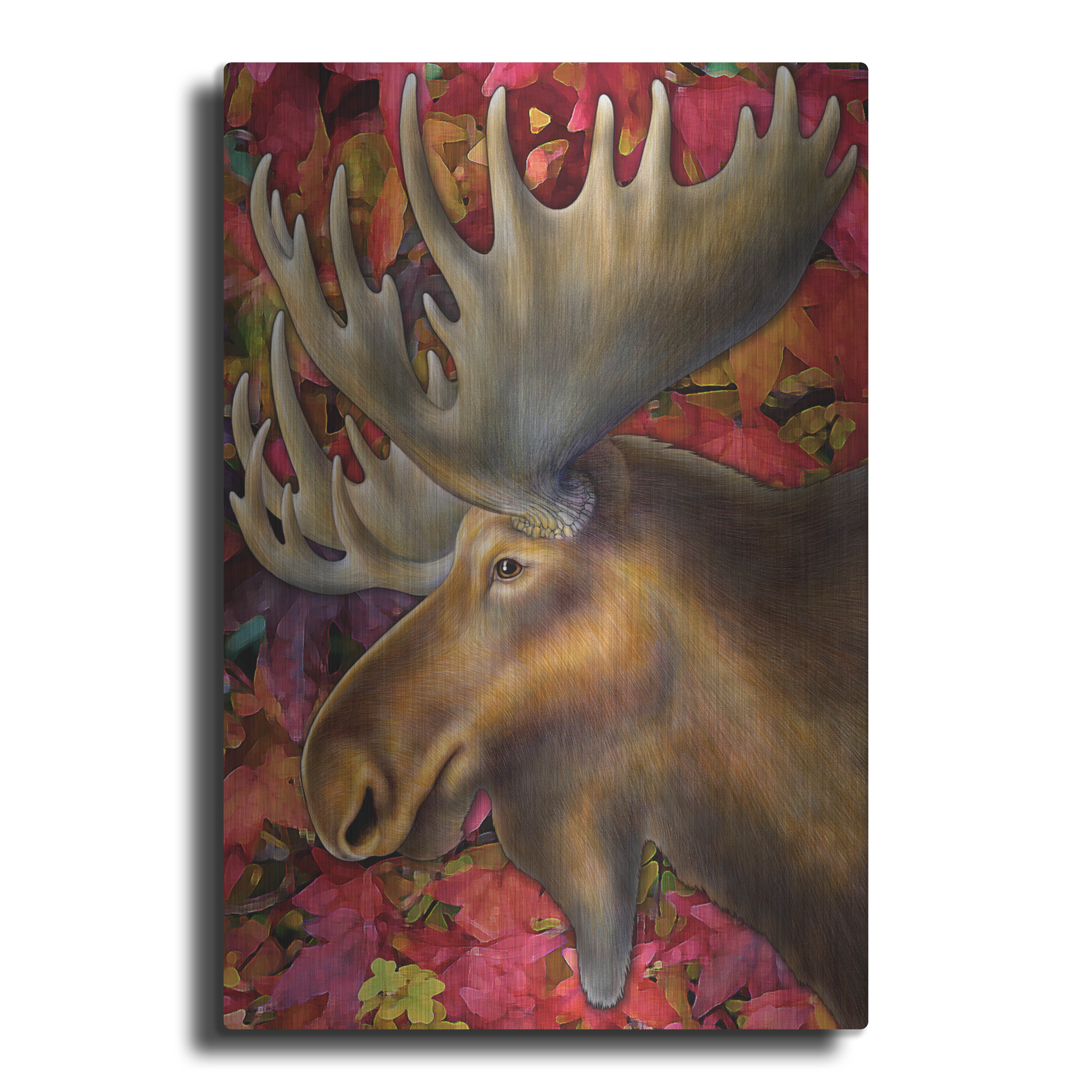 Luxe Metal Art 'Moose' by Tim Jeffs Metal Wall Art, 16" x 24" - Walmart.com