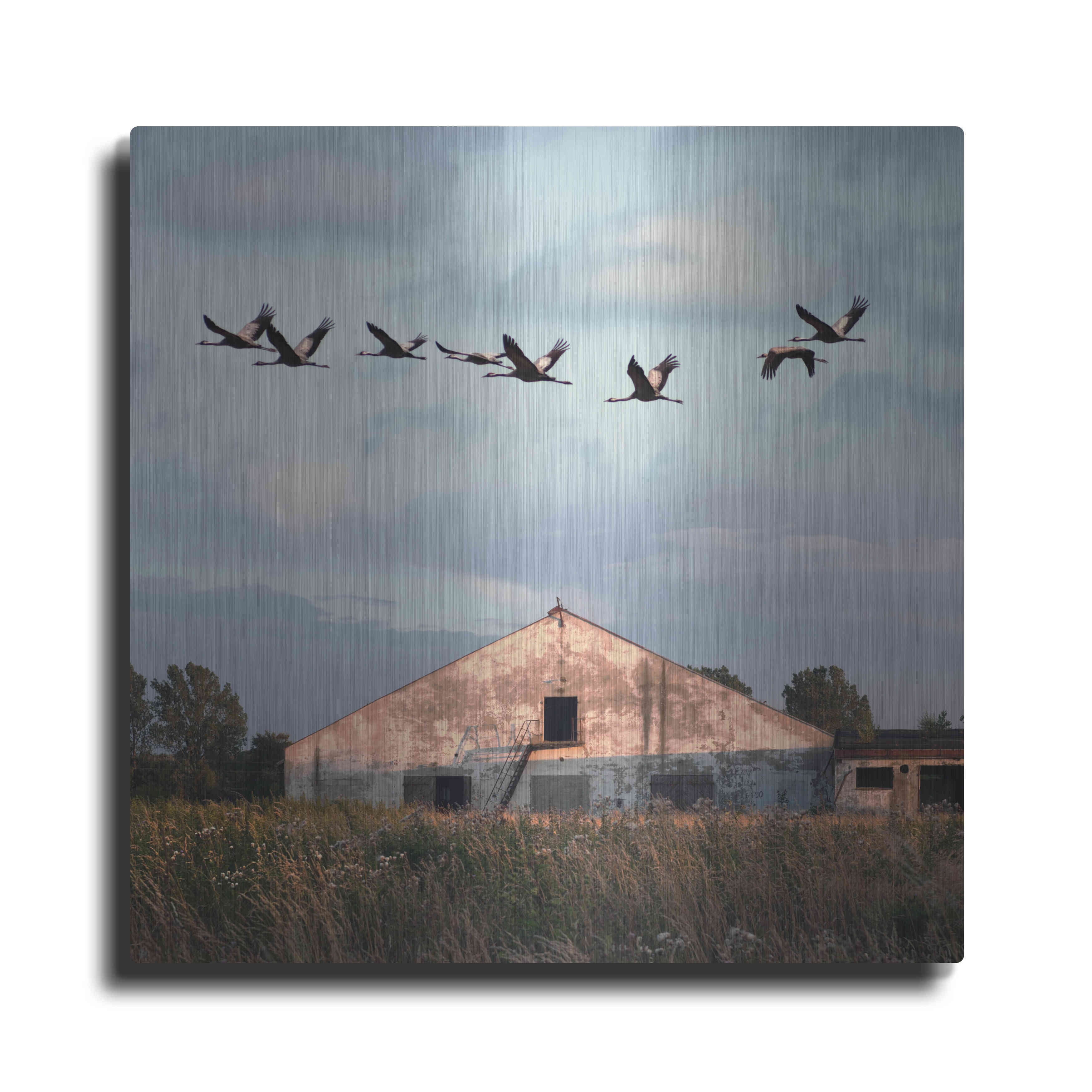 Luxe Metal Art 'Oktet' by Dariusz Klimczak, Metal Wall Art, 36"x36 ...