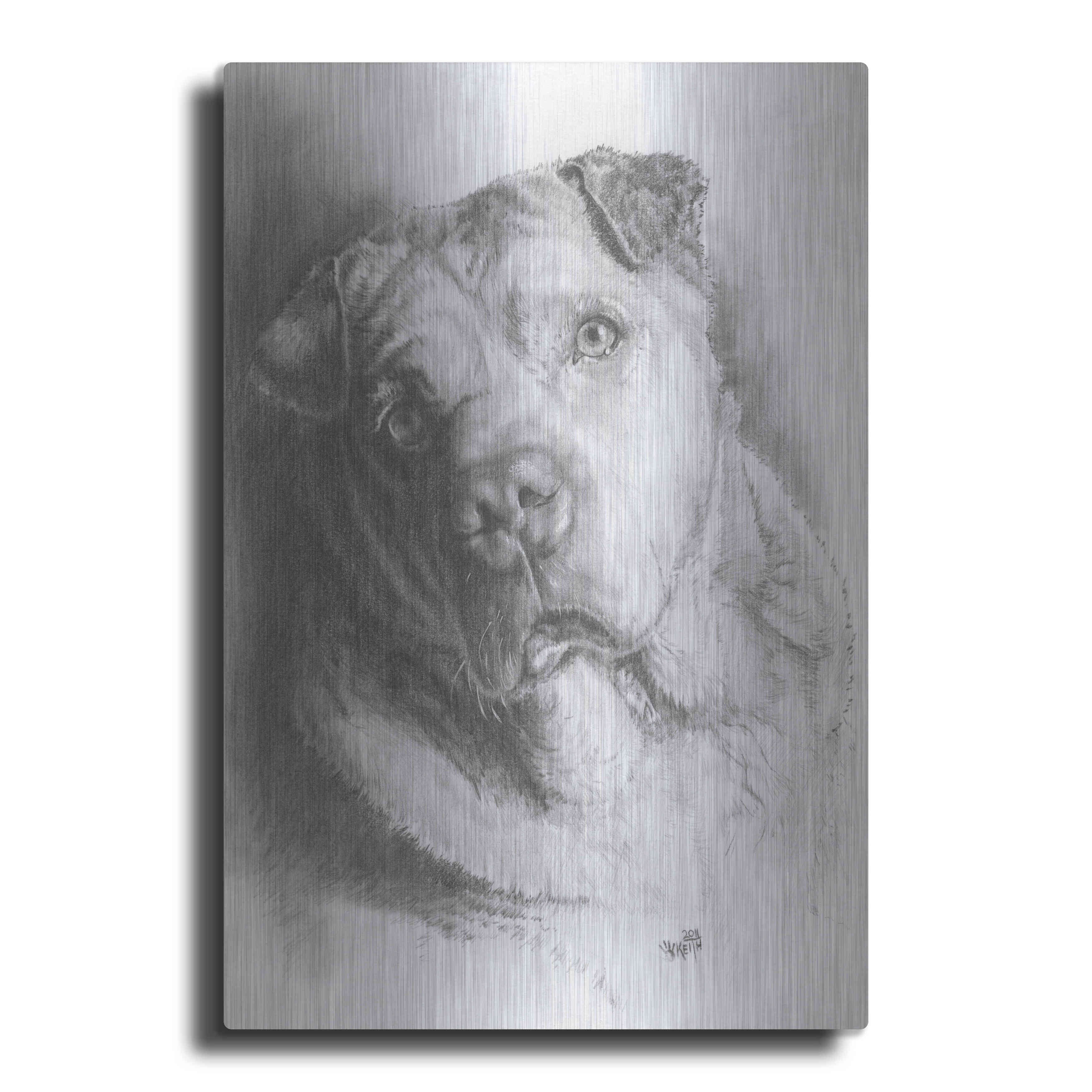 Luxe Metal Art 'Ori-Pei' by Barbara Keith, Metal Wall Art, 16"x24 ...