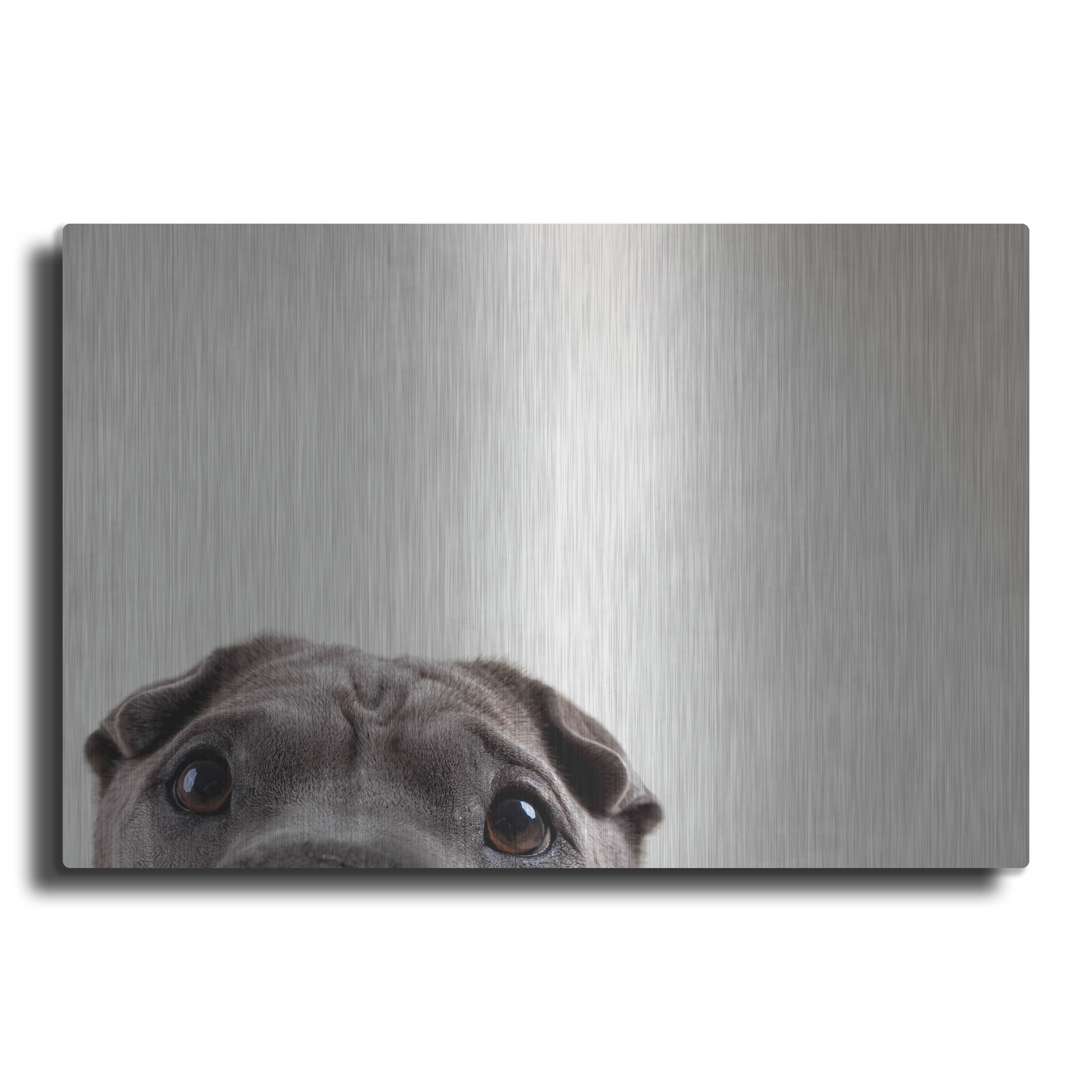 Luxe Metal Art ' Pelei's Eyes' by Susan Sabo, Metal Wall Art, 24"x16 ...