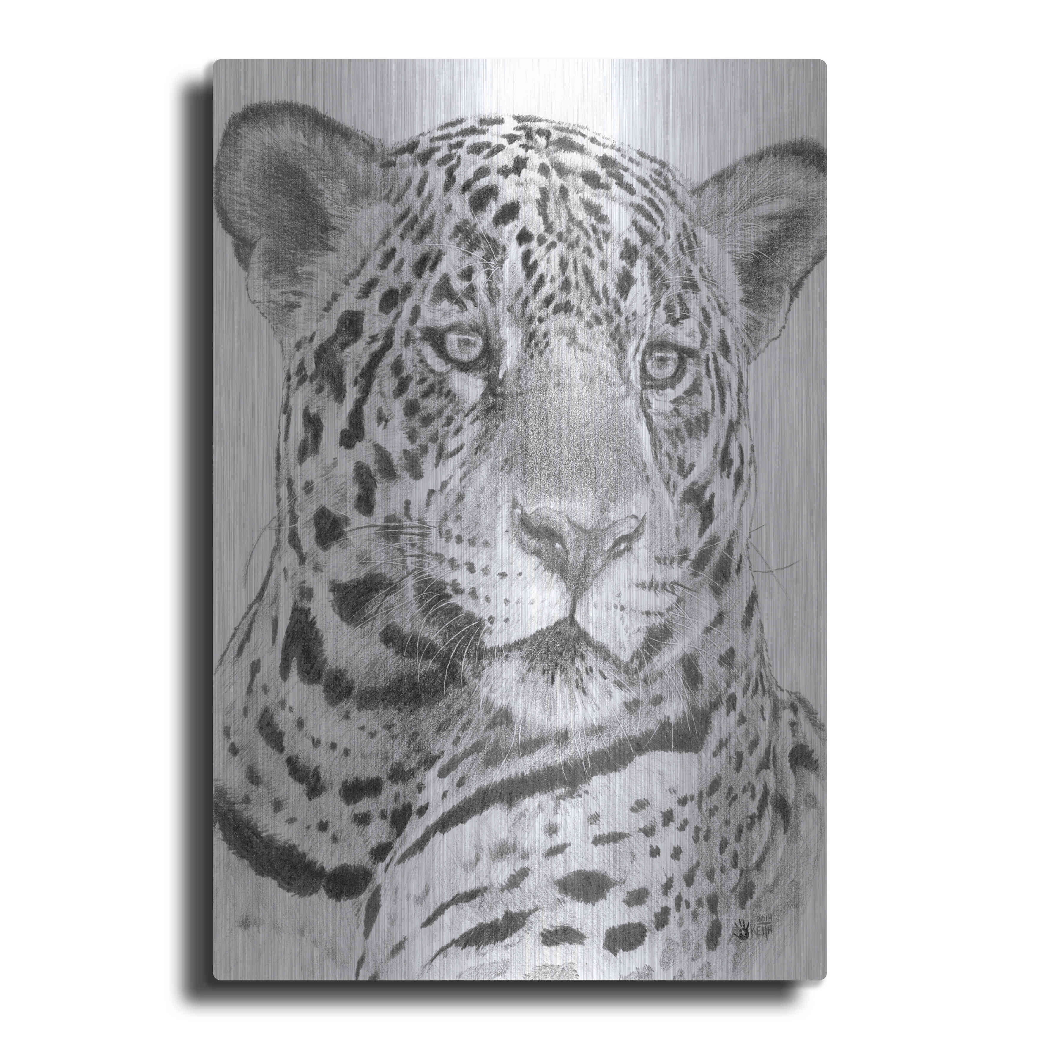 Luxe Metal Art 'Placate' by Barbara Keith, Metal Wall Art, 24"x36 ...