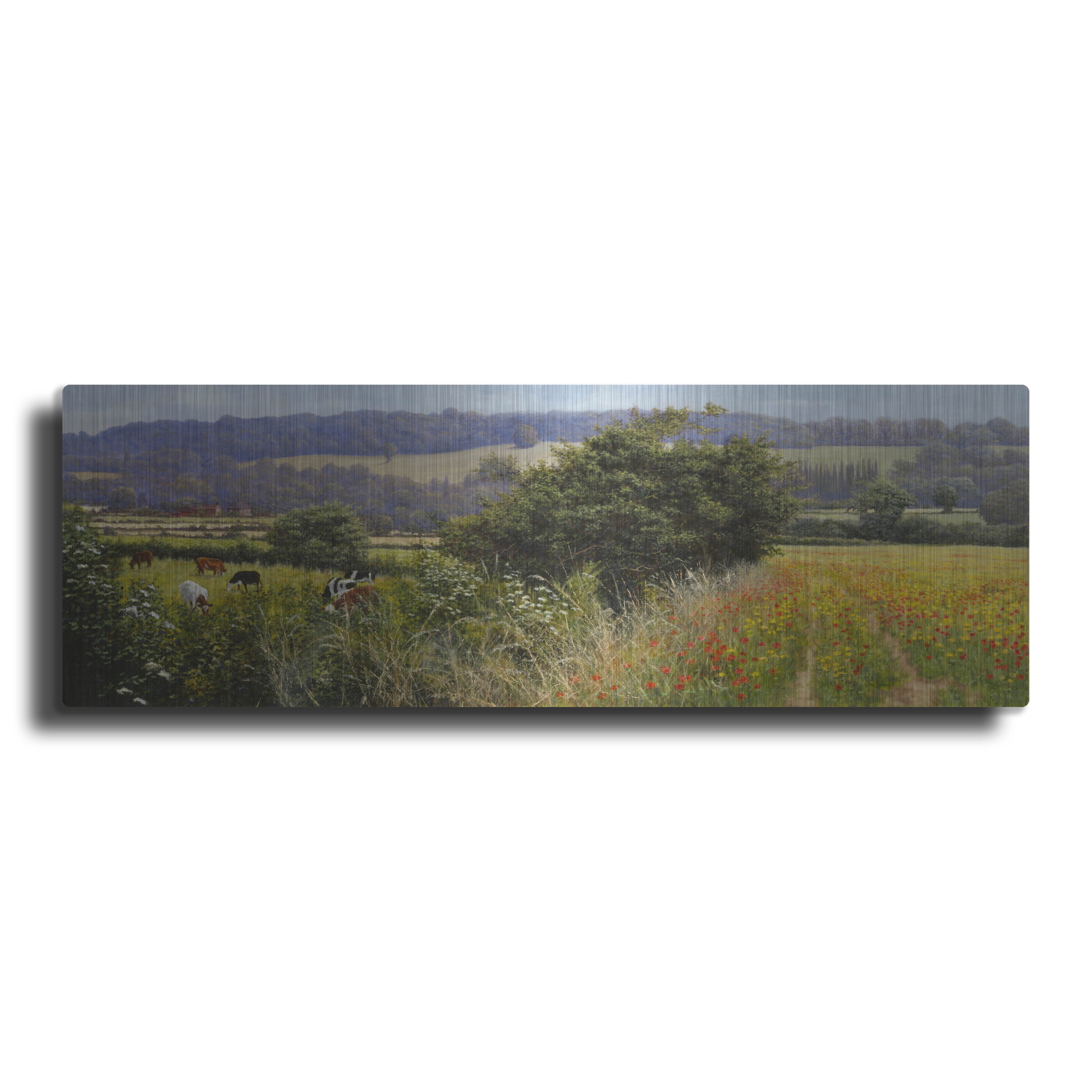 Luxe Metal Art 'Poppies' by Bill Makinson, Metal Wall Art, 36"x12 ...