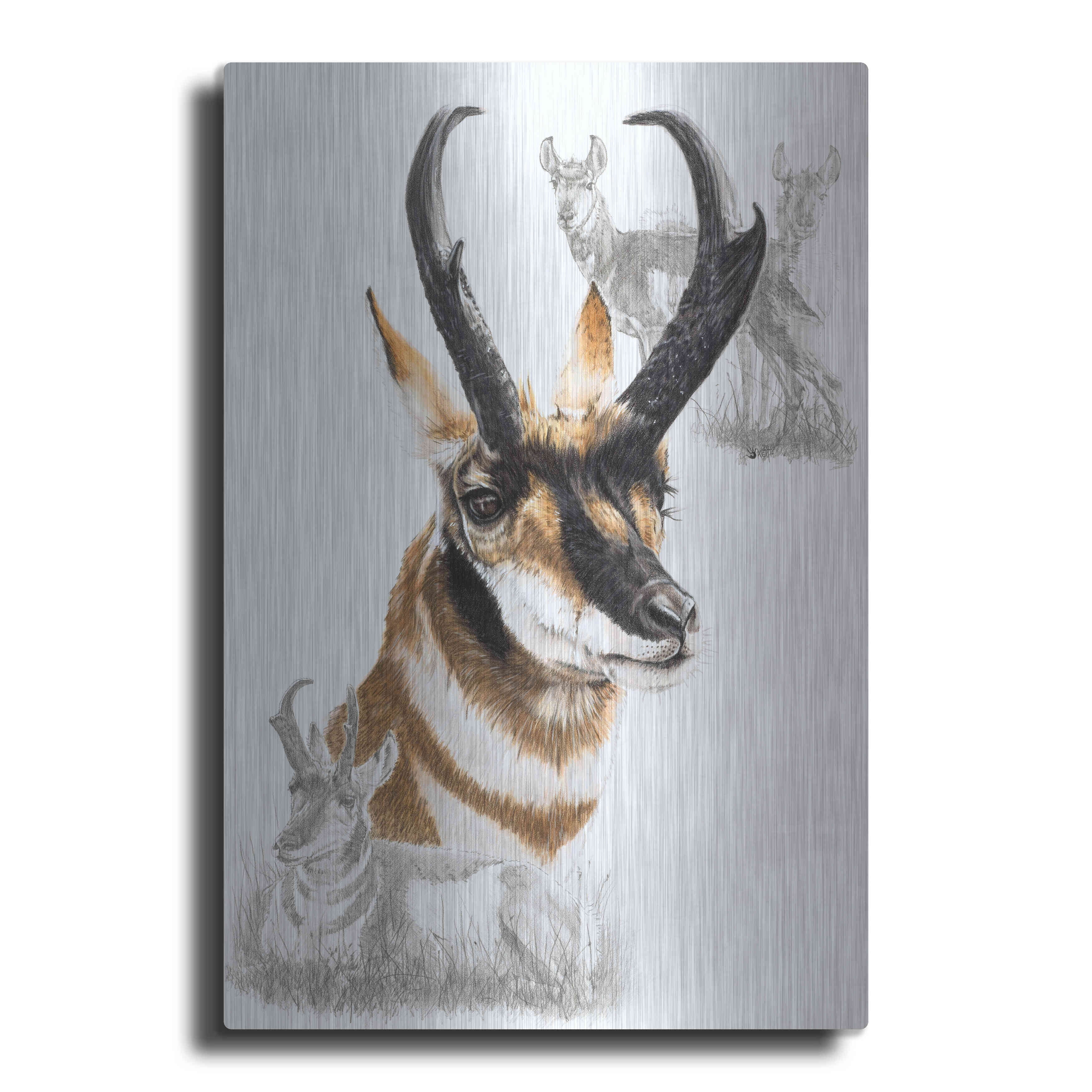 Luxe Metal Art 'Pronghorn' by Barbara Keith, Metal Wall Art, 12"x16 ...