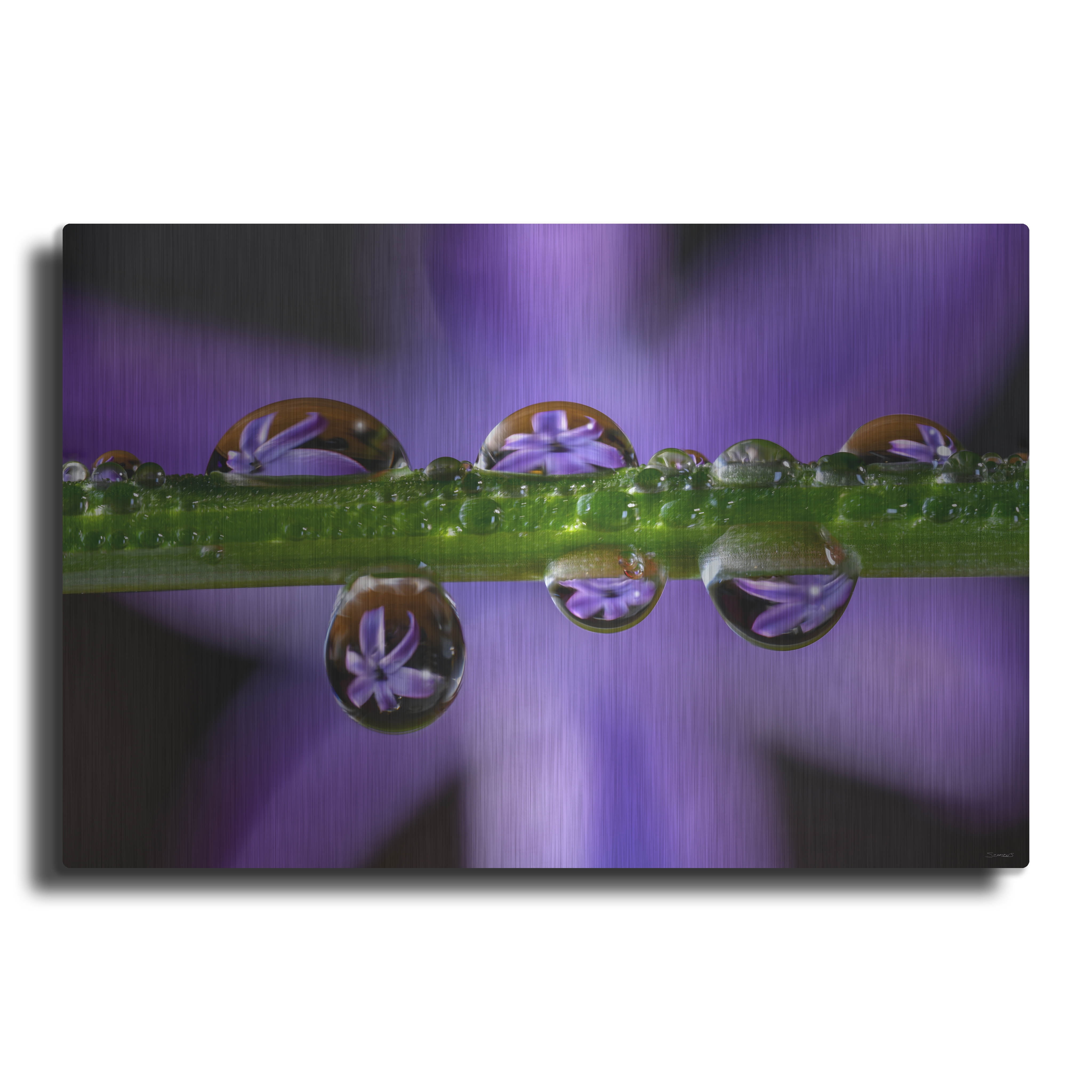 Luxe Metal Art 'Purple Hyacinths 01' by Gordon Semmens, Metal Wall Art ...
