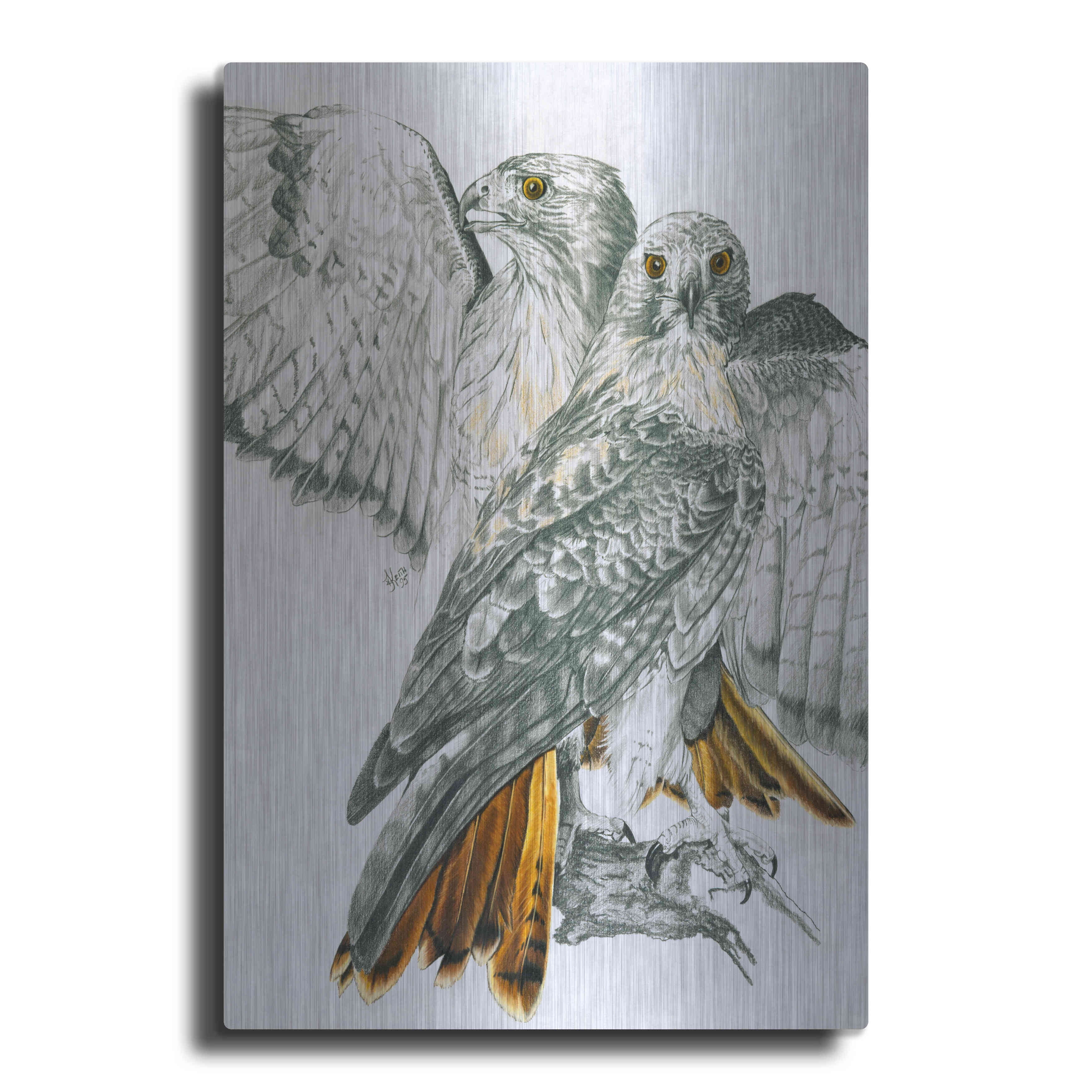 Luxe Metal Art 'Redtailed Hawk' by Barbara Keith, Metal Wall Art, 16 ...
