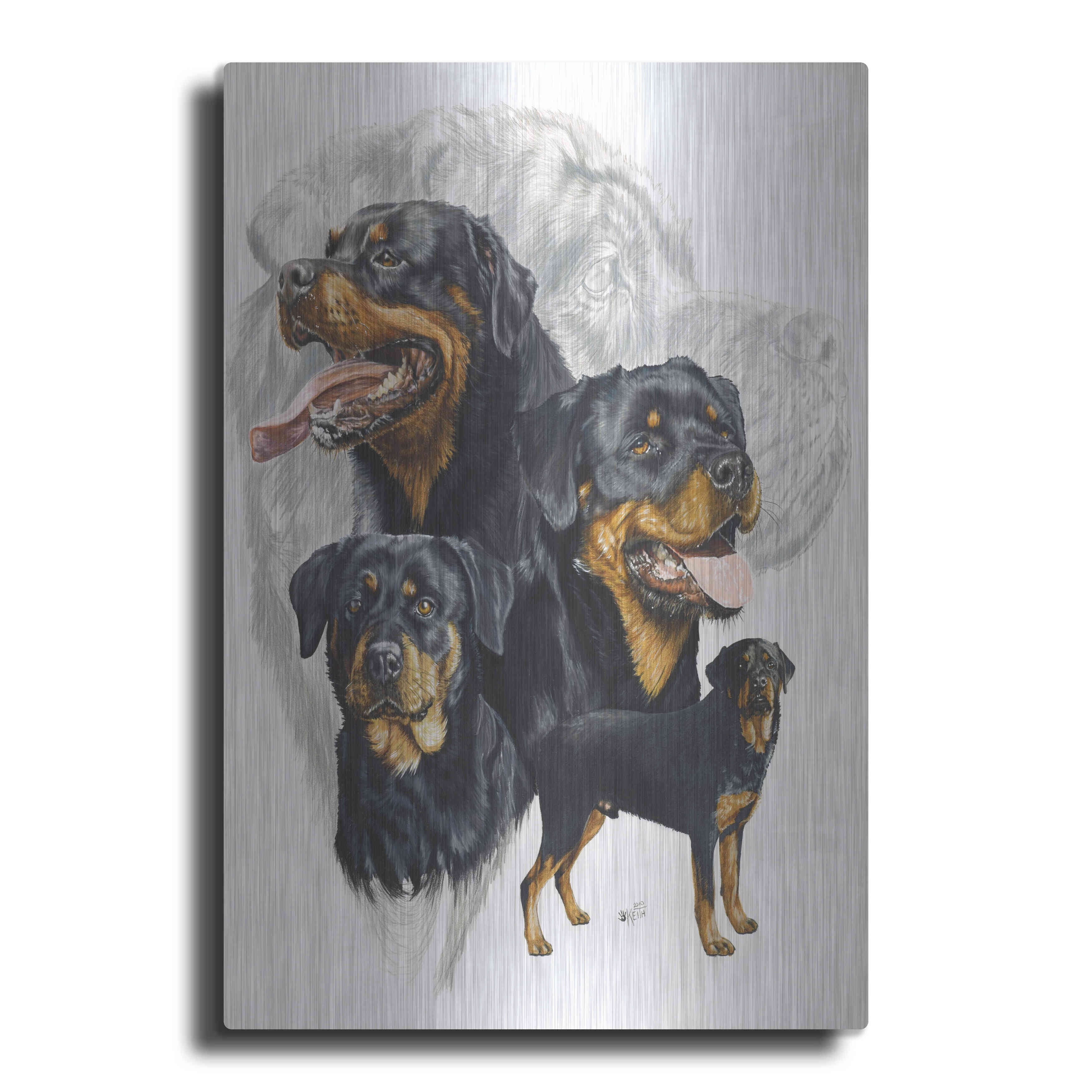 Luxe Metal Art 'Rottweiler' by Barbara Keith, Metal Wall Art, 12"x16 ...