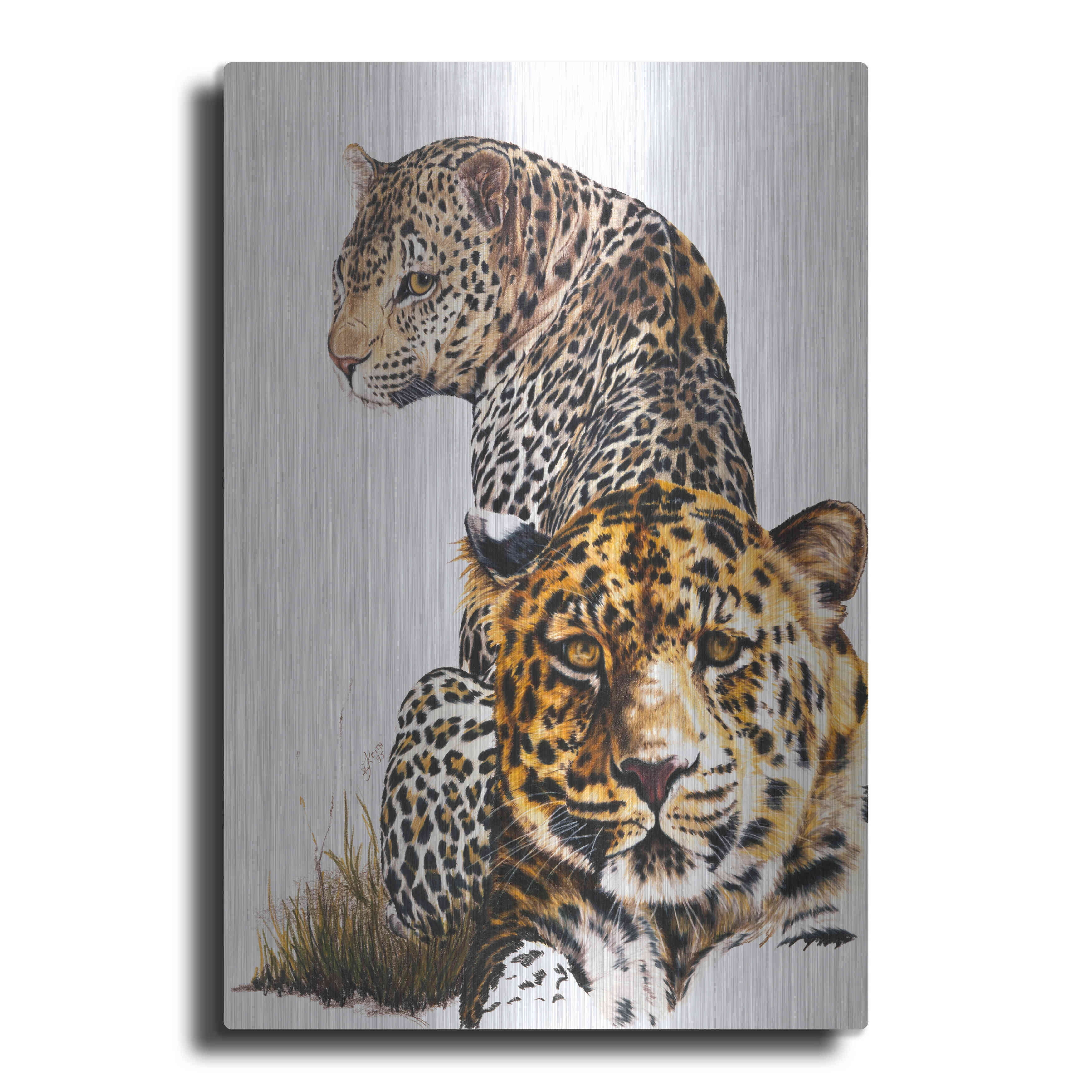 Luxe Metal Art 'Scar Face' by Barbara Keith, Metal Wall Art, 24"x36 ...