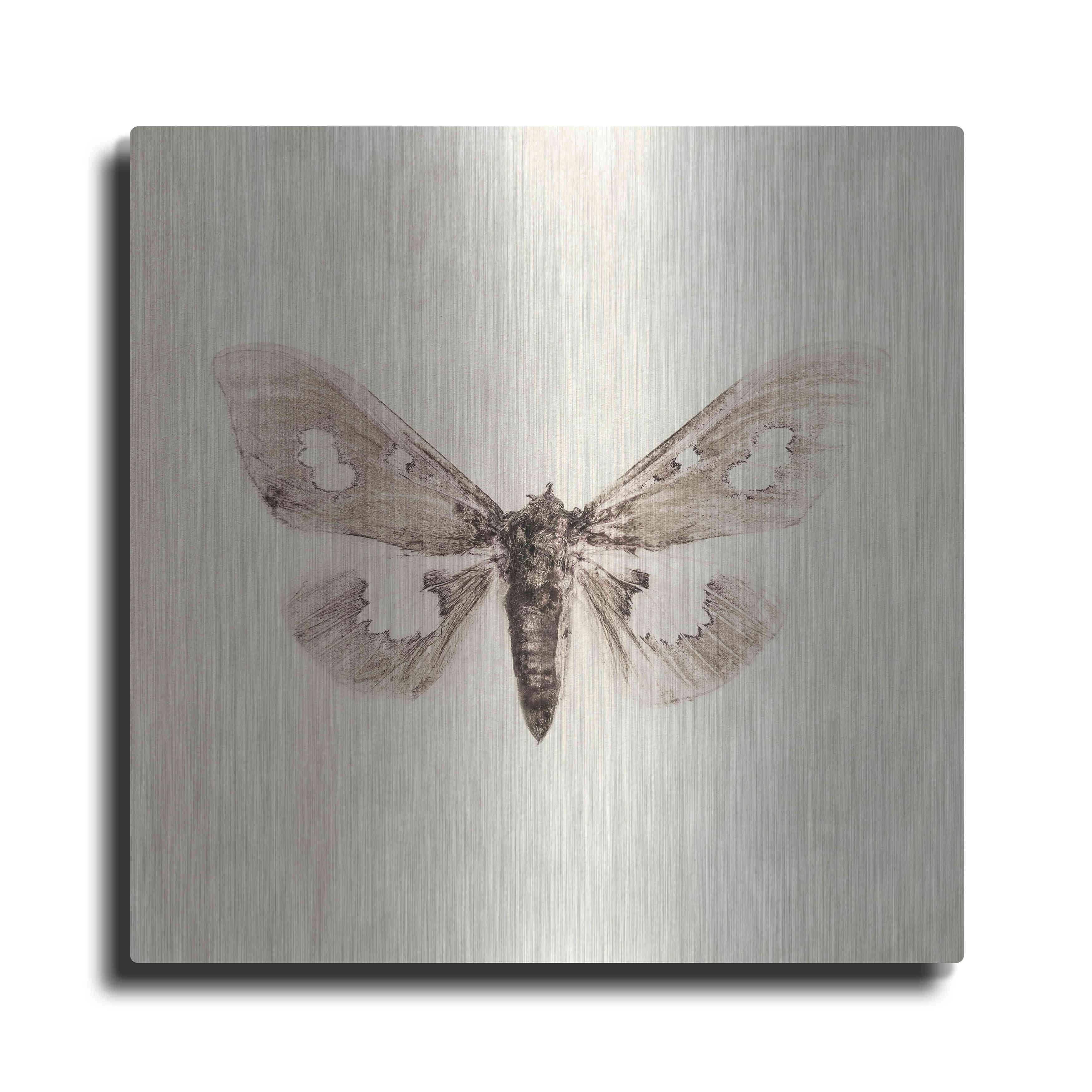 Luxe Metal Art 'Sepia Moth' by Incado, Metal Wall Art, 12"x12 ...