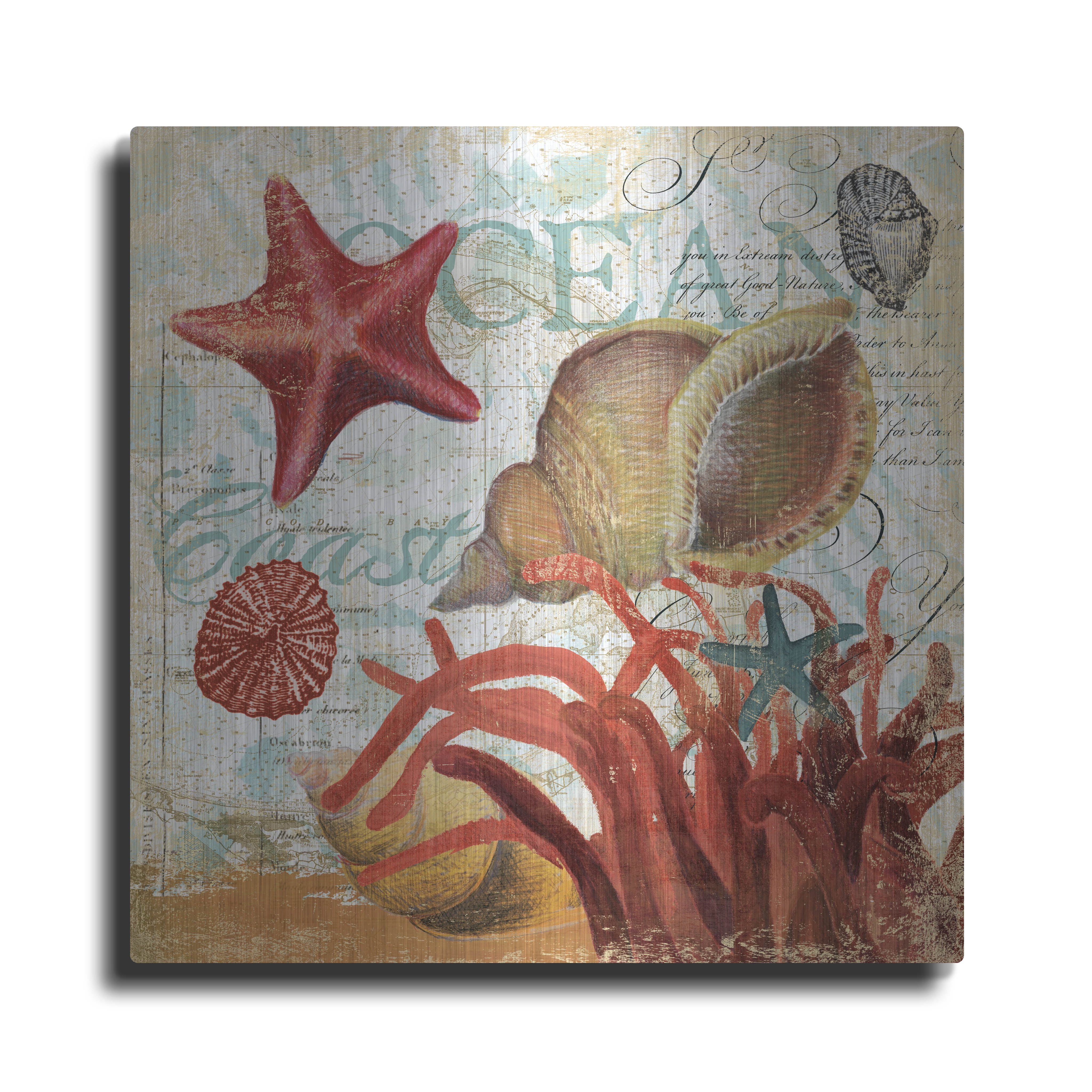 Luxe Metal Art 'Shell Collector 1i' by Art Licensing Studio Metal Wall ...