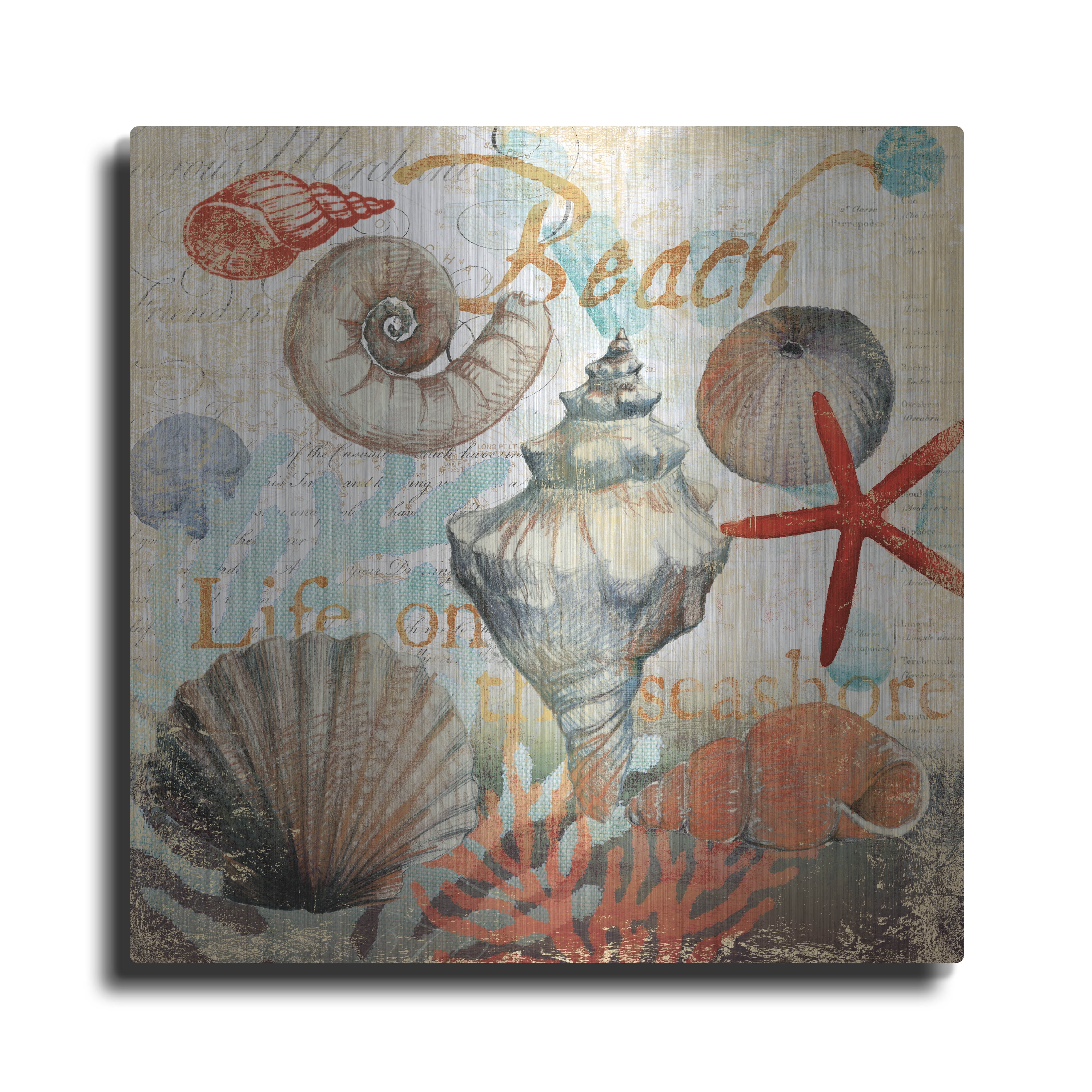 Luxe Metal Art 'Shell Collector1' by Art Licensing Studio Metal Wall ...