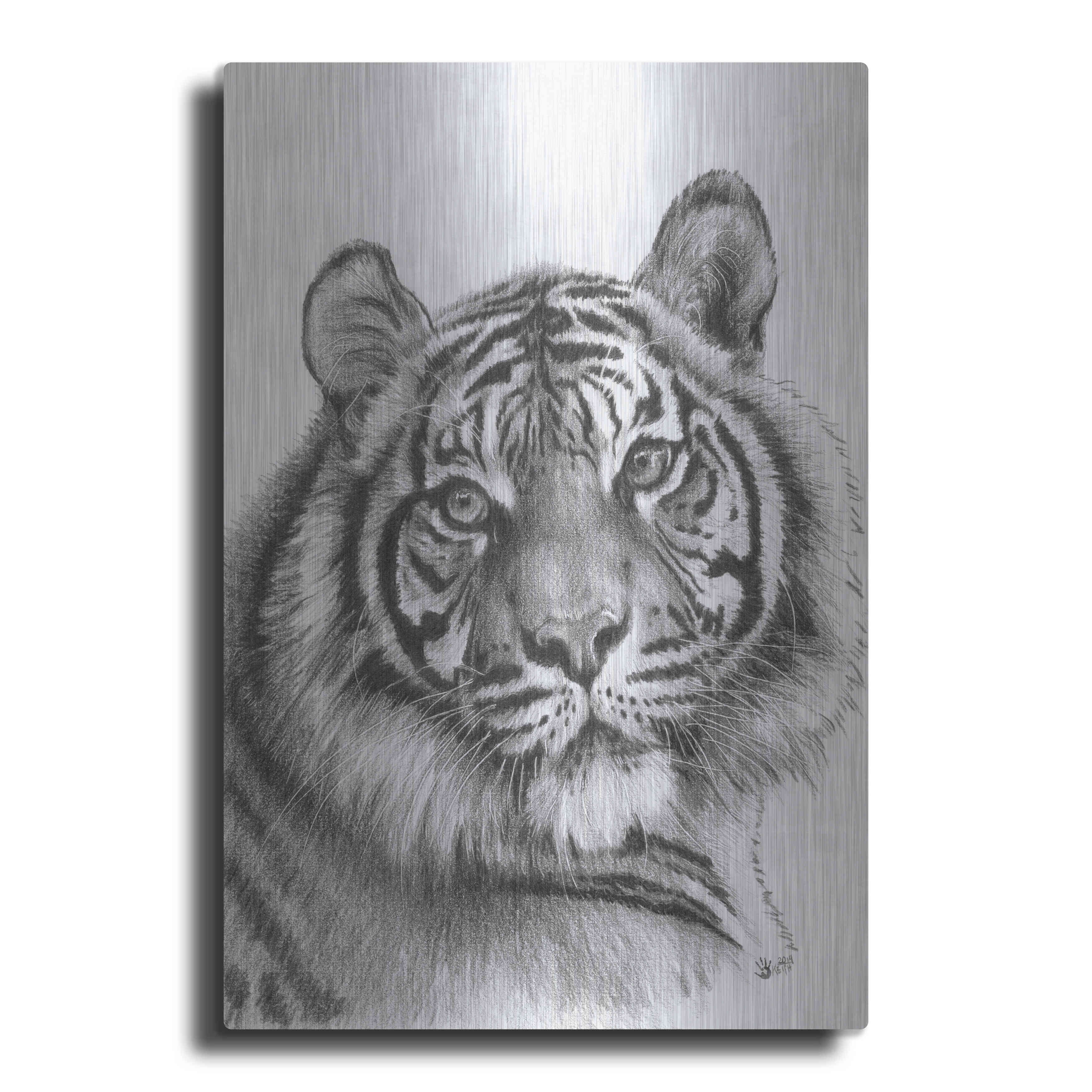 Luxe Metal Art 'Shimmer' by Barbara Keith, Metal Wall Art, 24"x36 ...