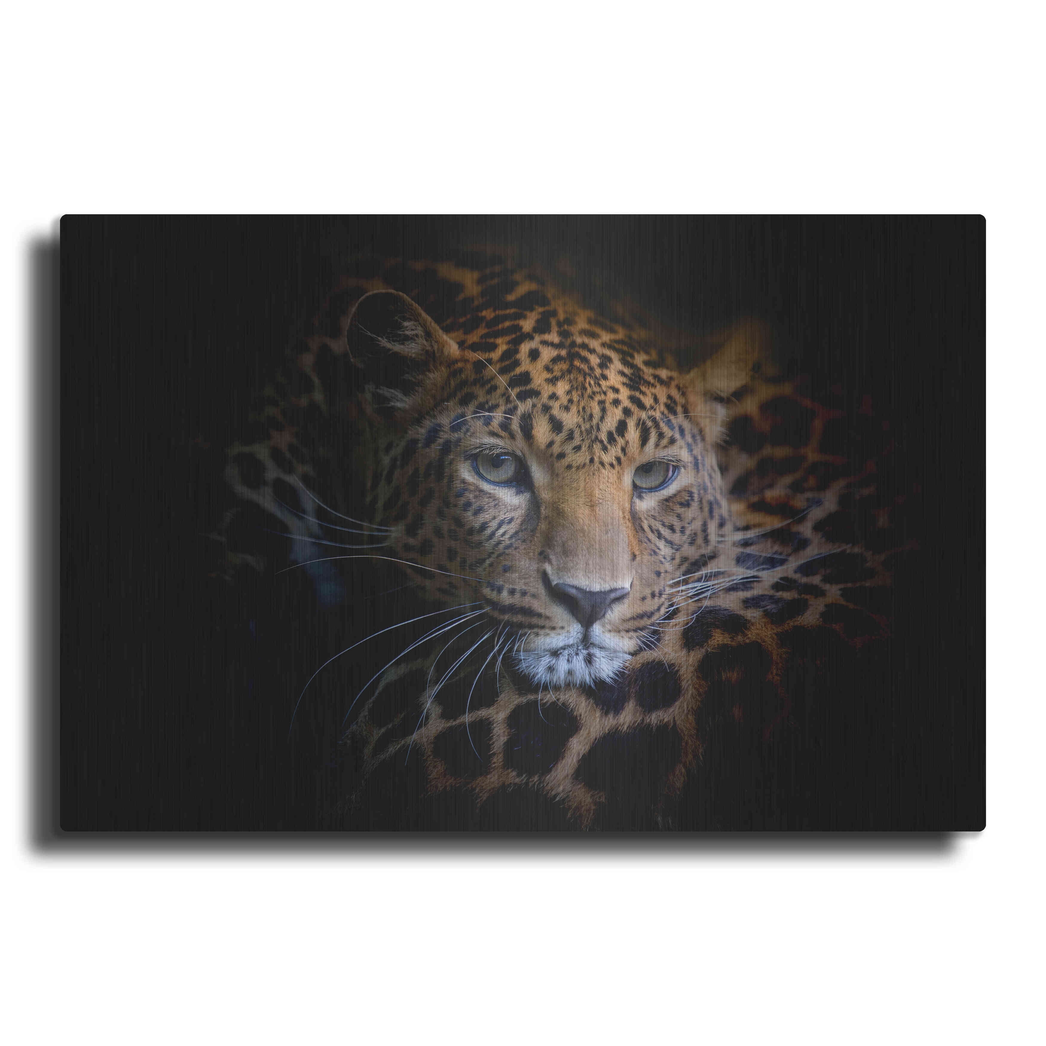 Luxe Metal Art 'Sleepy Leopard' by Epic Portfolio Metal Wall Art, 24 ...