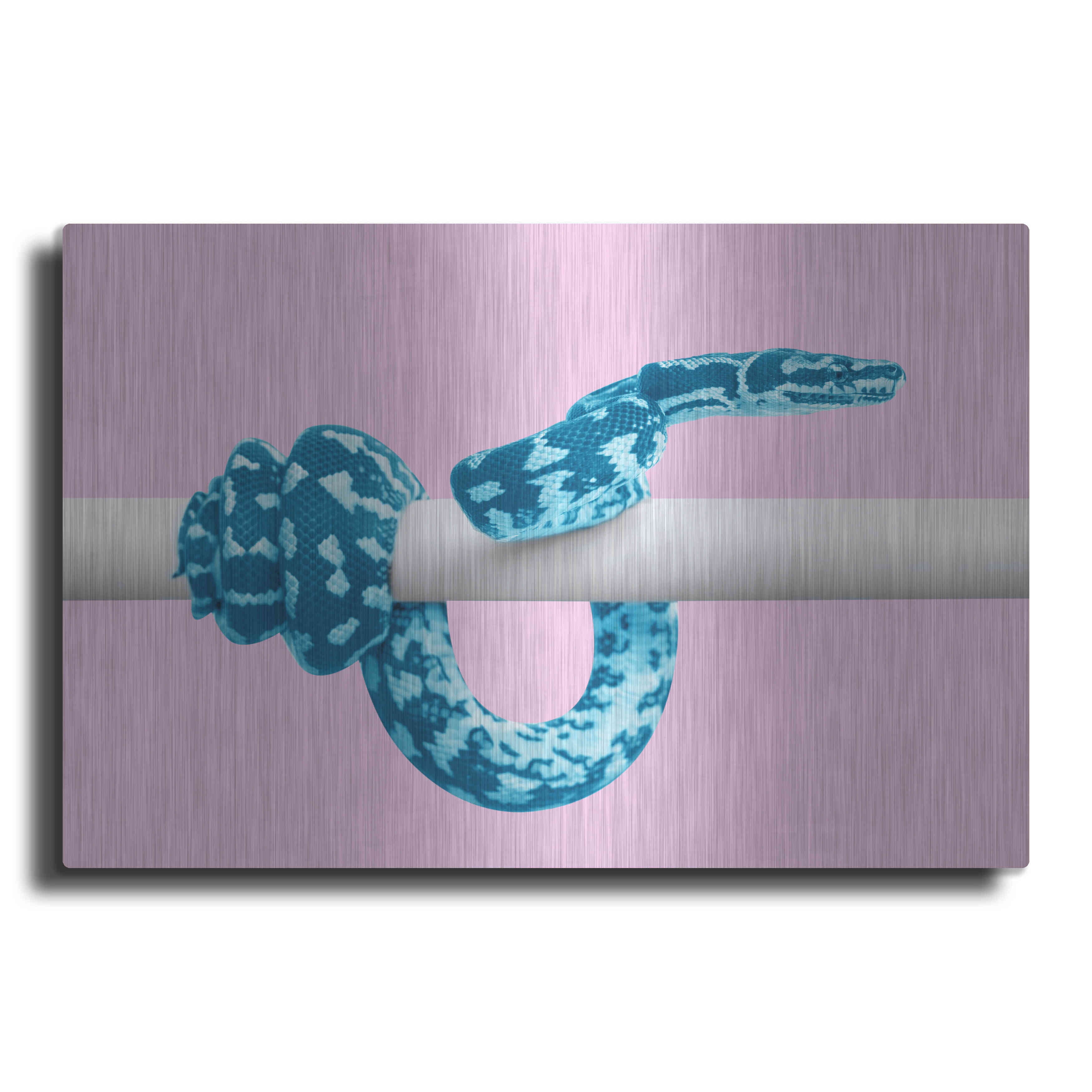 Luxe Metal Art 'Sneck 1' by Mark Ashkenazi, Metal Wall Art, 16"x12" - Walmart.com