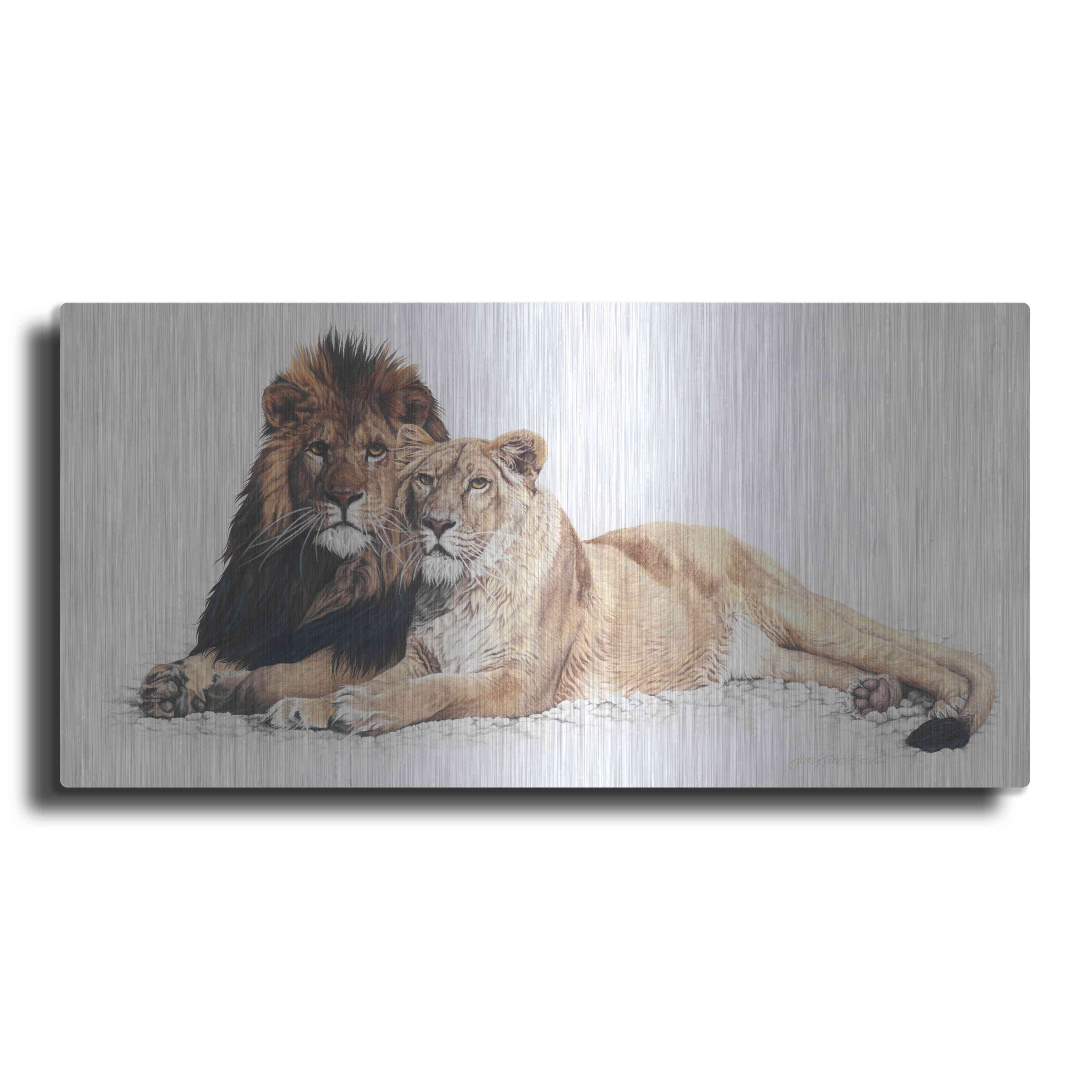 Luxe Metal Art 'Soul Mates' by Jan Henderson, Metal Wall Art, 48"x24 ...