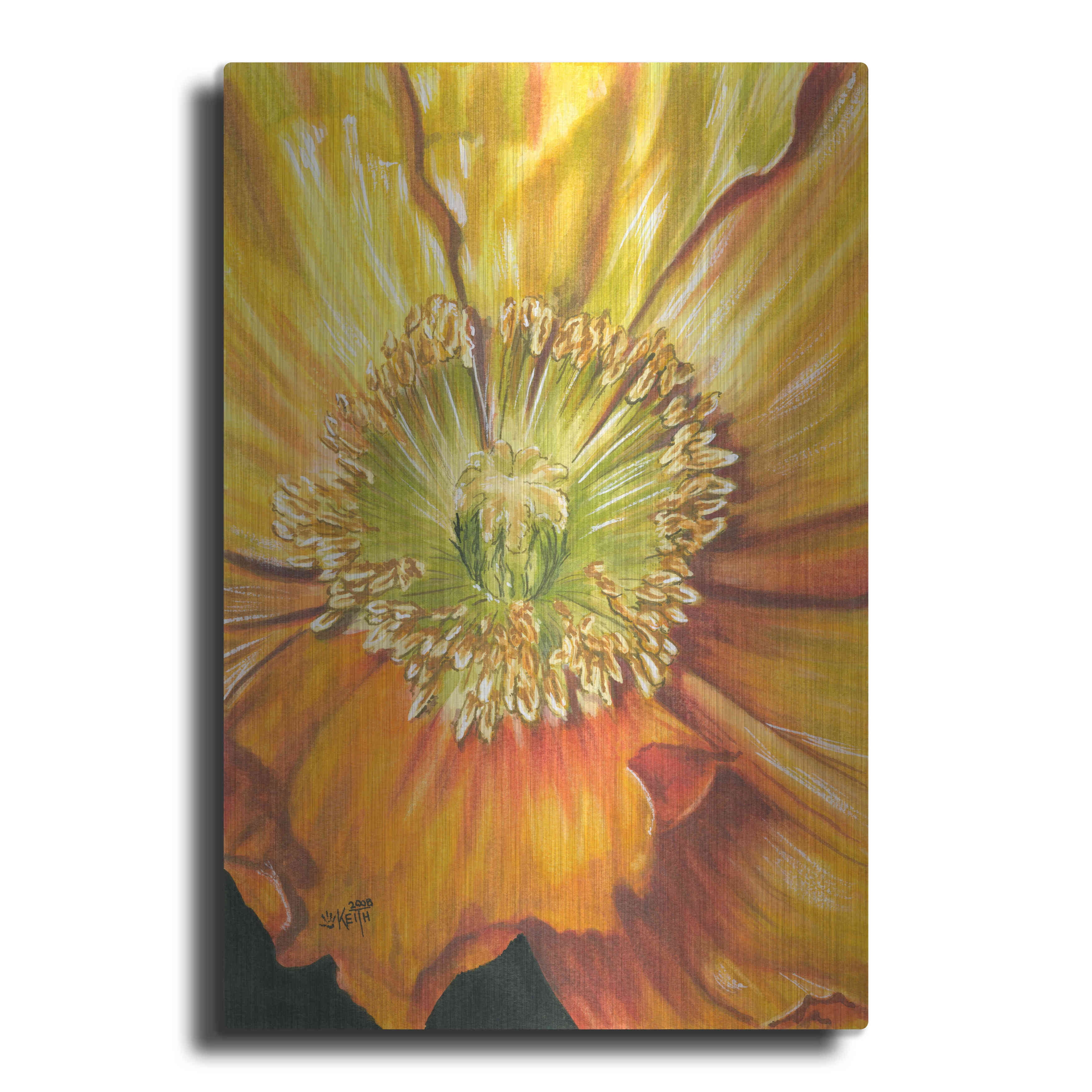 Luxe Metal Art 'Sunburst' by Barbara Keith, Metal Wall Art, 12"x16 ...