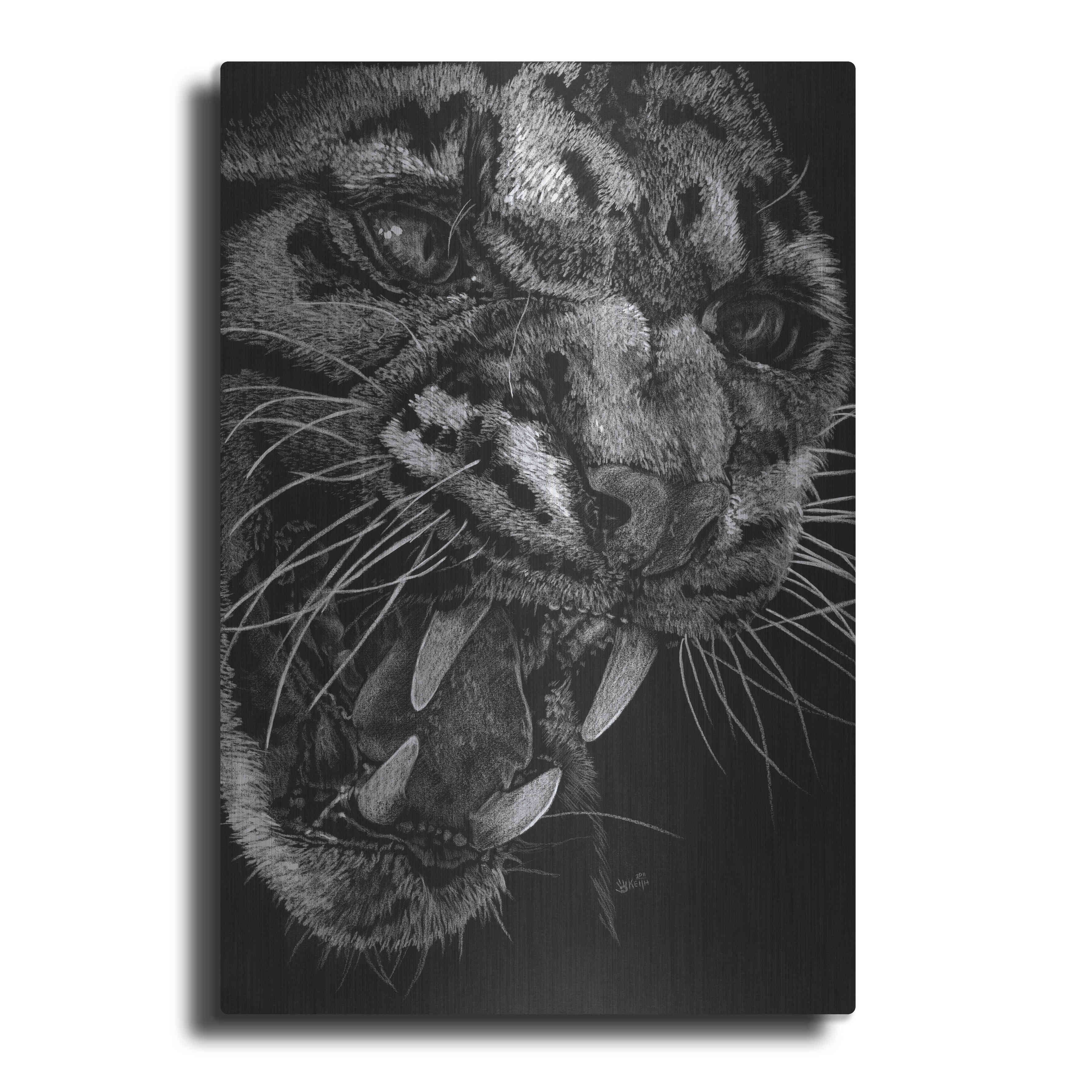 Luxe Metal Art 'Temper' by Barbara Keith, Metal Wall Art, 24"x36 ...