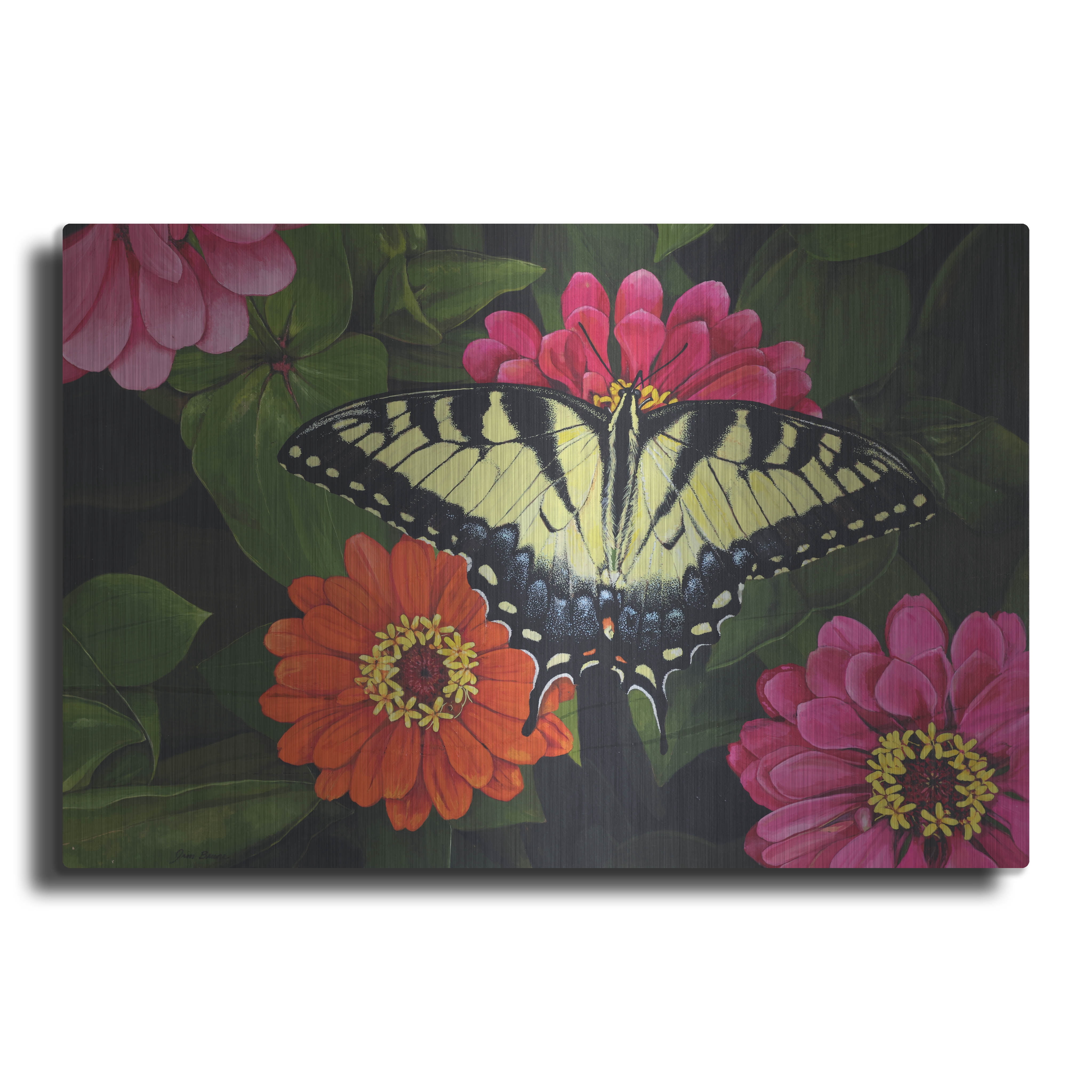 Luxe Metal Art 'Tiger Swallowtail On Zinnias' by Jim Brune Metal Wall ...