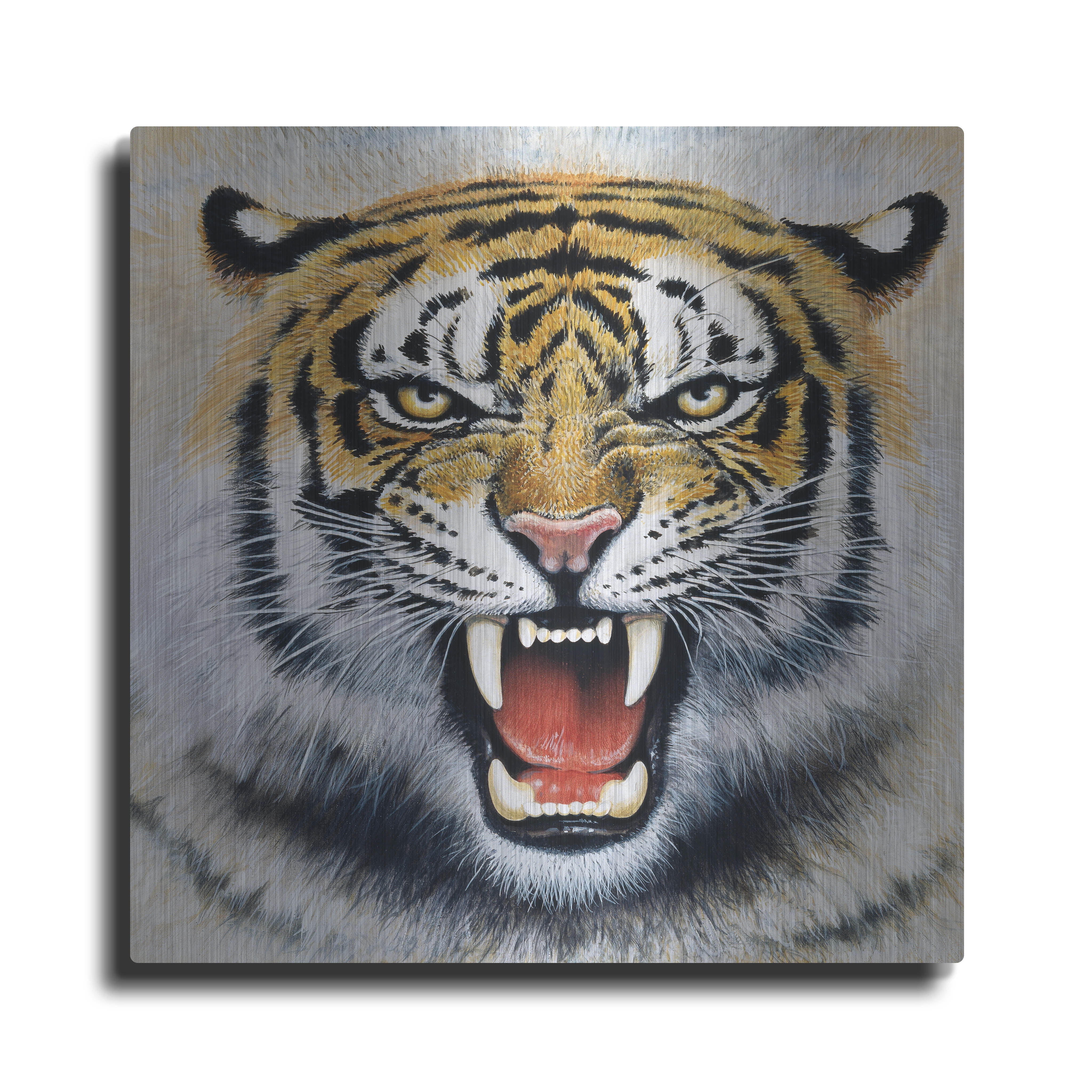 Luxe Metal Art 'Tiger' by Harro Maass, Metal Wall Art, 36"x36 ...