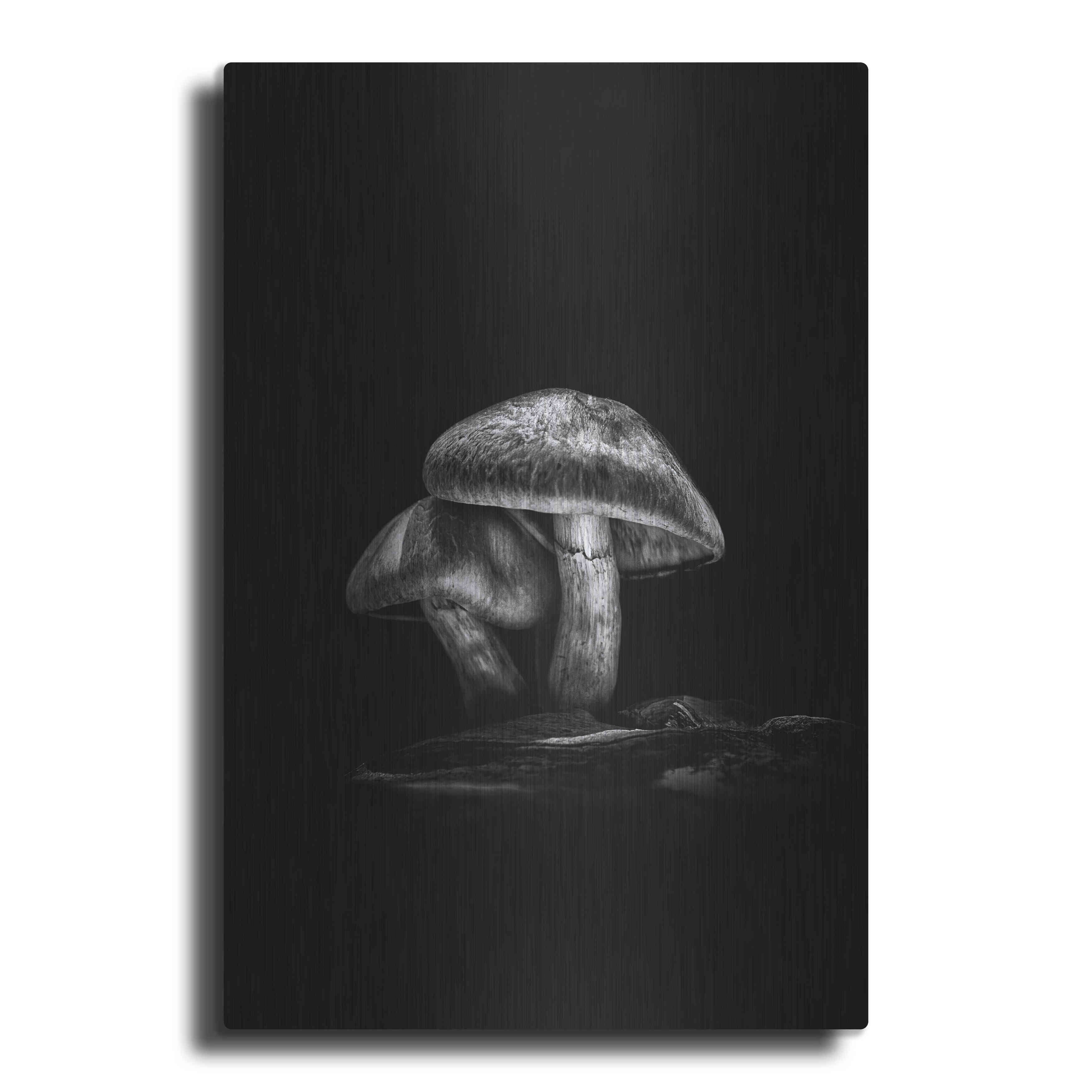 Luxe Metal Art 'Toadstools On A Trail No 2' by Brian Carson, Metal Wall ...
