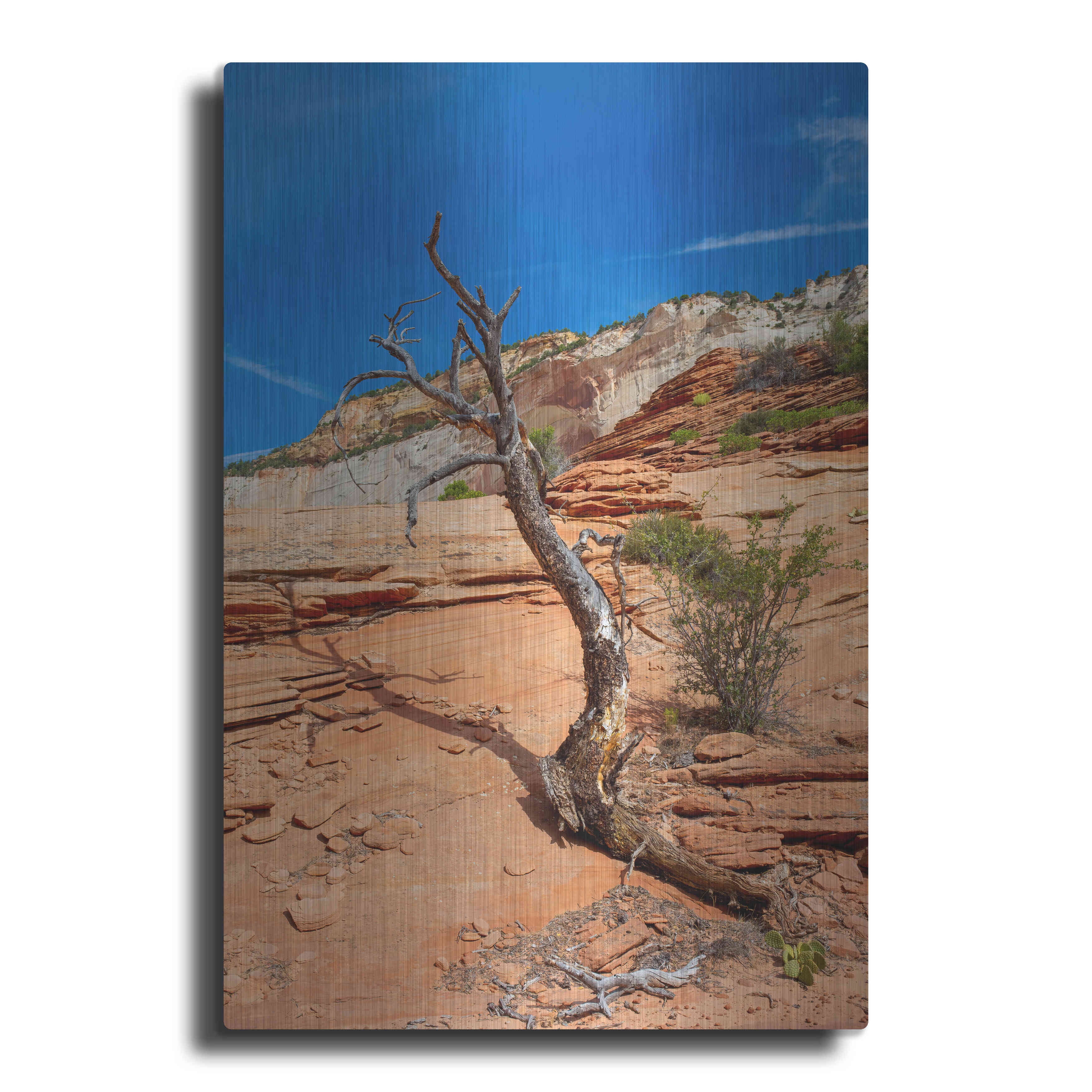 Luxe Metal Art 'Utah 3' by Luxe Portfolio, Metal Wall Art, 16"x24 ...