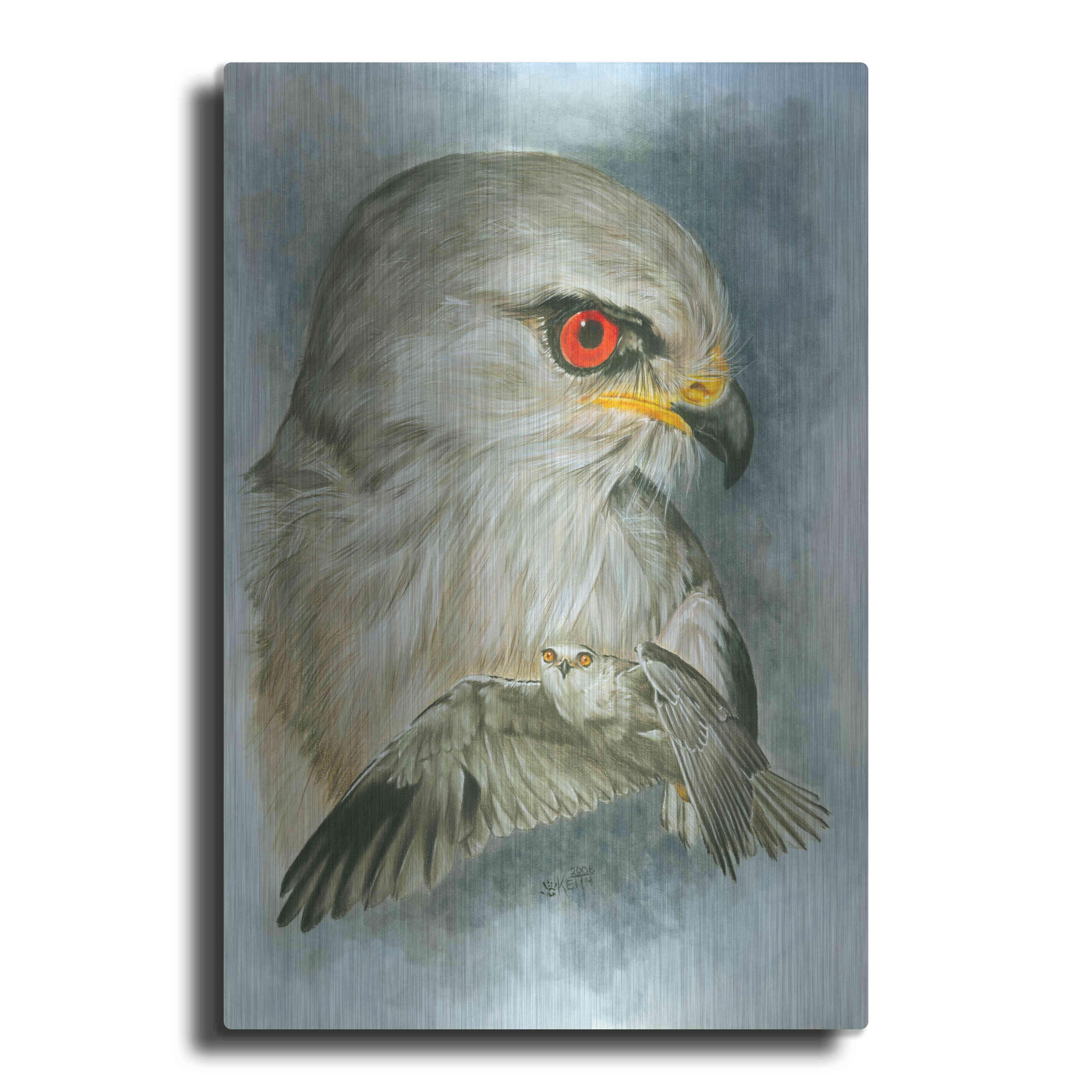 Luxe Metal Art 'Velocity' by Barbara Keith, Metal Wall Art, 12"x16 ...