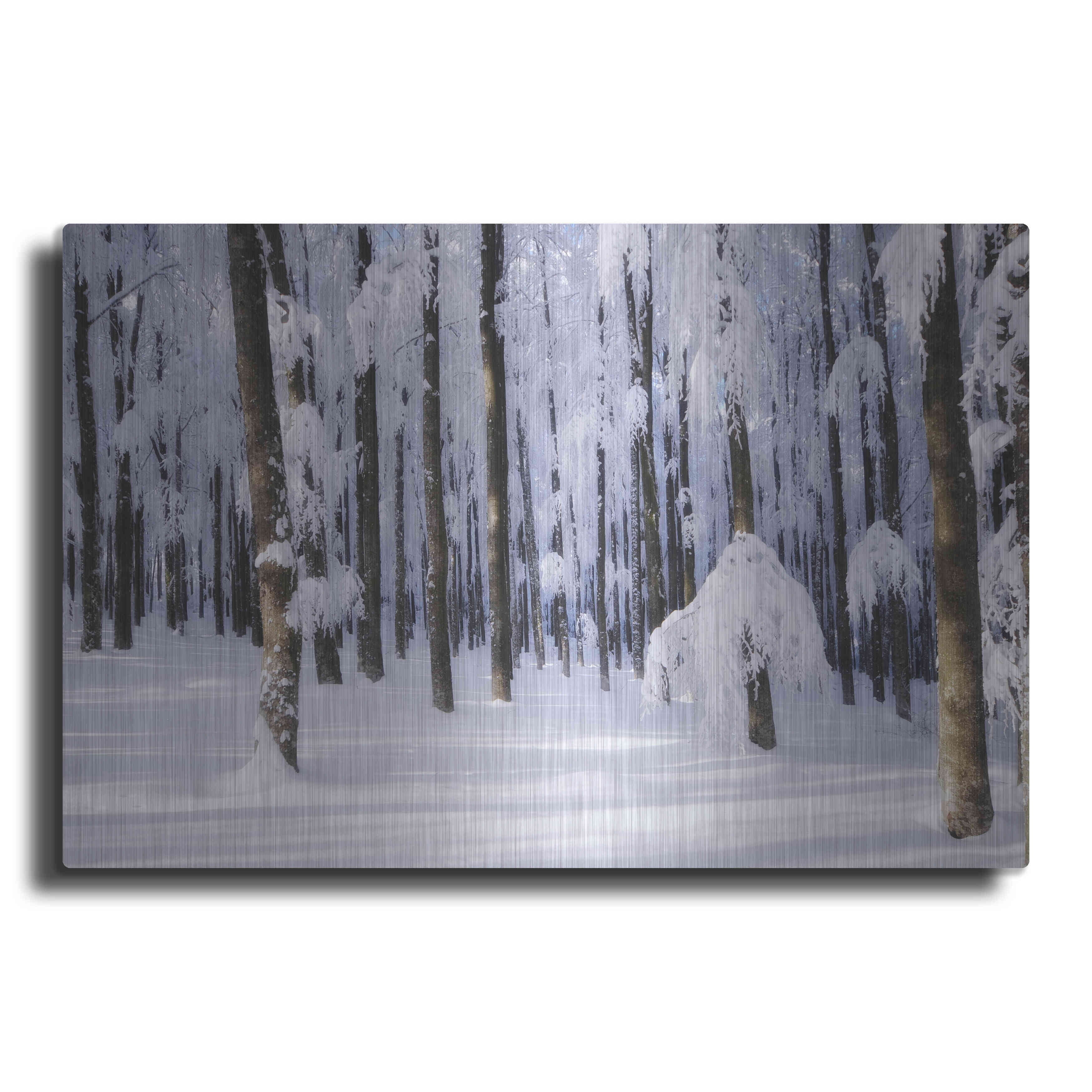 Luxe Metal Art 'White Muslin' by Philippe Sainte-Laudy, Metal Wall Art ...