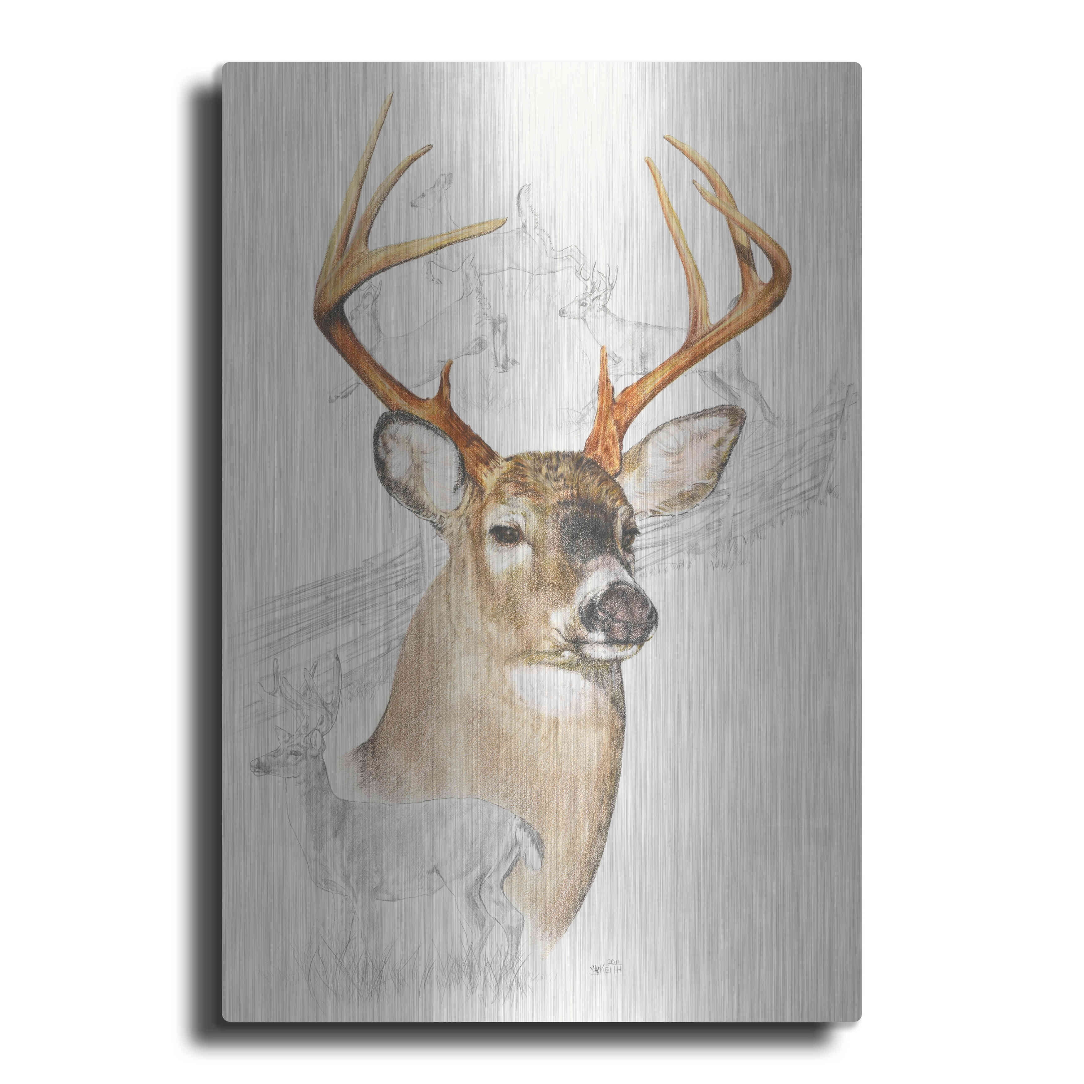 Luxe Metal Art 'White Tailed Deer' by Barbara Keith, Metal Wall Art, 12 ...
