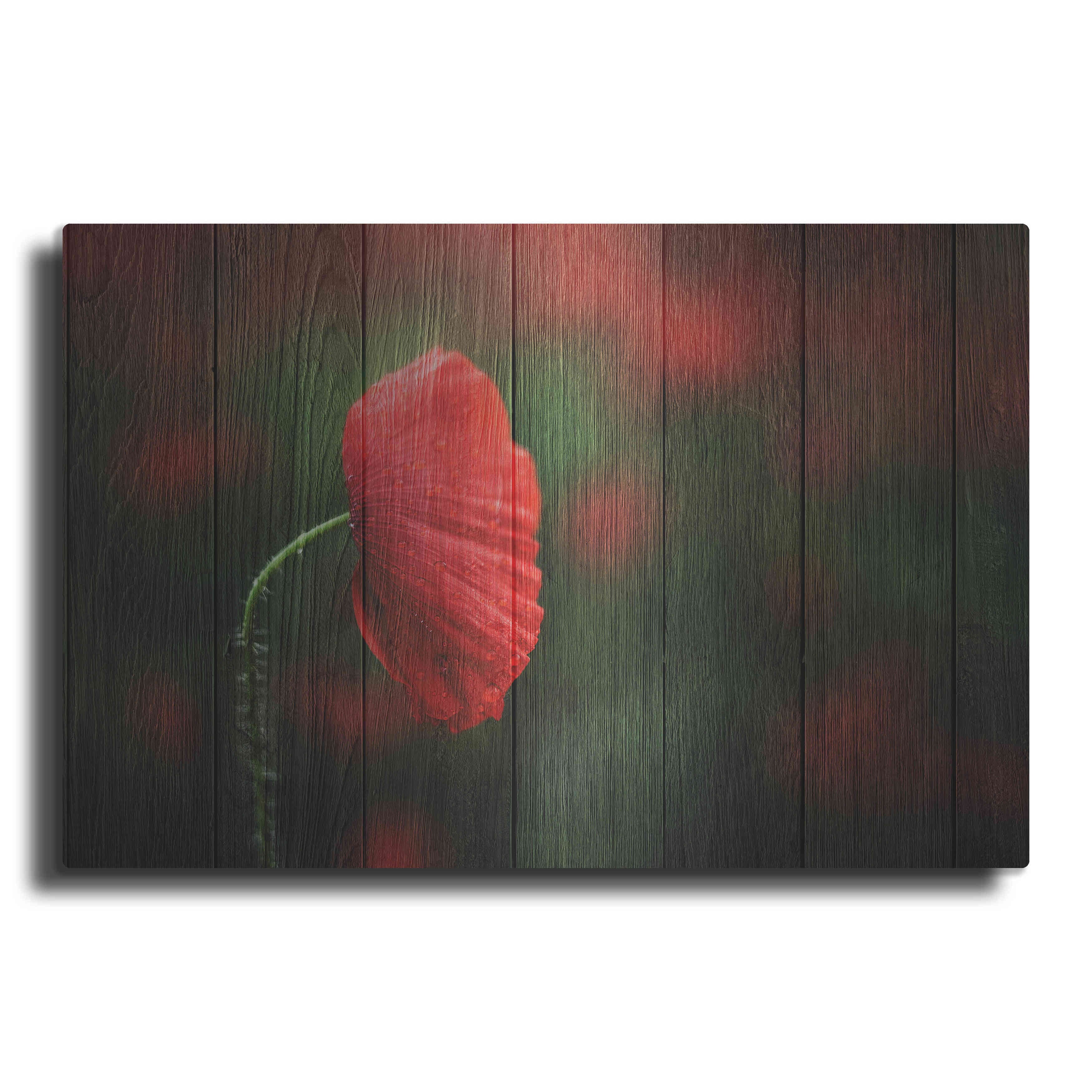 Luxe Metal Art 'Wood Series: A Red Poppy', Metal Wall Art, 24"x16 ...