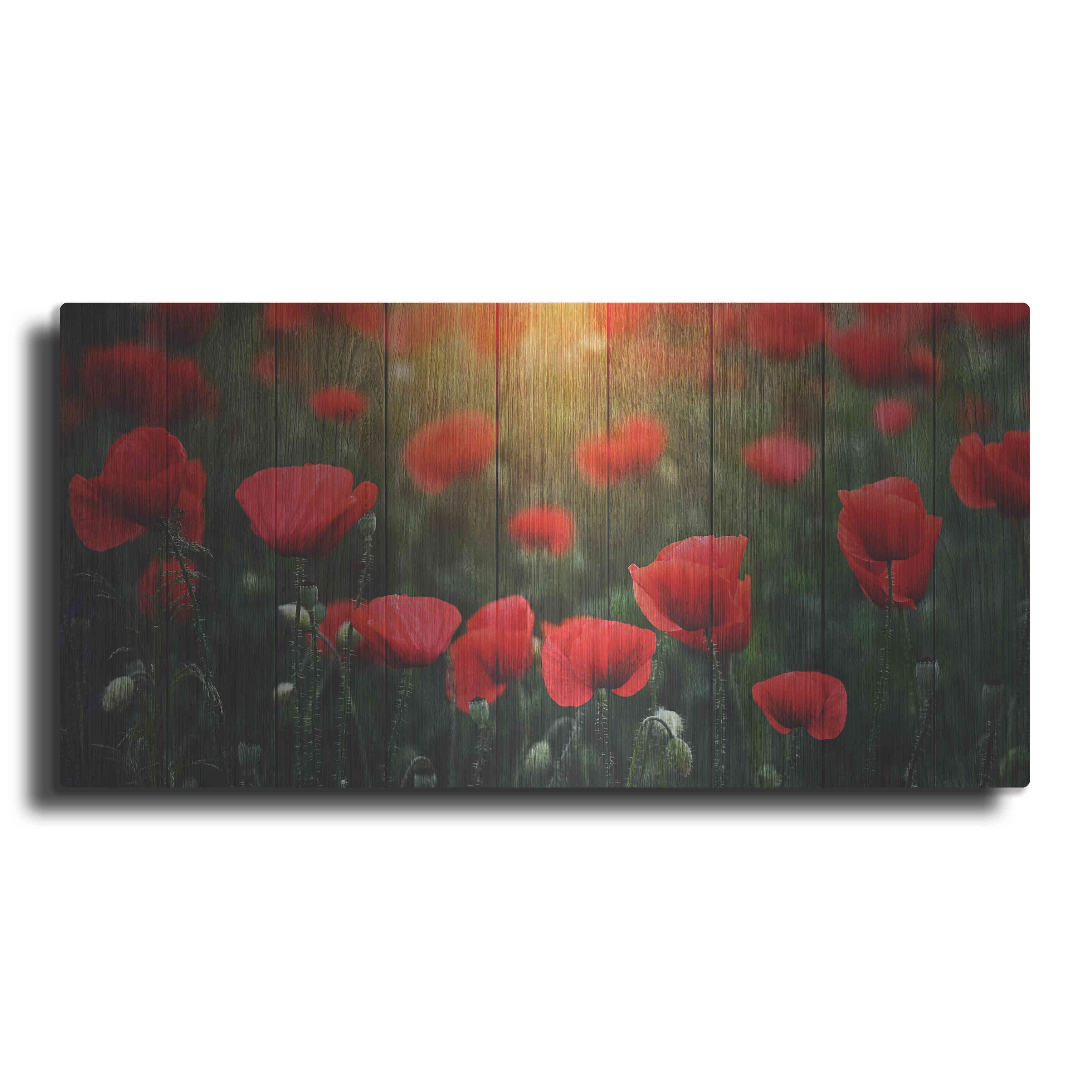 Luxe Metal Art 'Wood Series: Field of Poppies', Metal Wall Art, 24"x12 ...