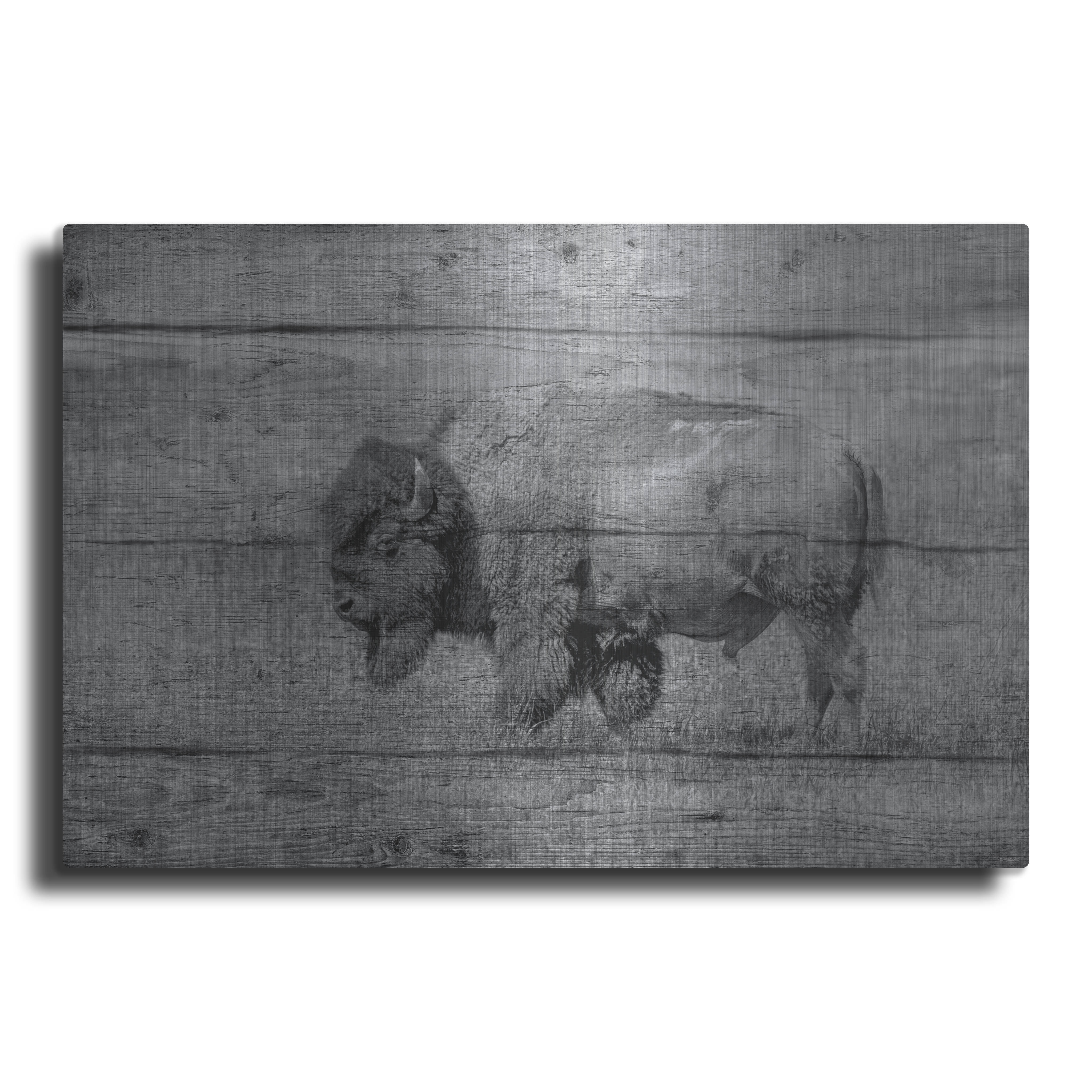 Luxe Metal Art 'Woodgrain 02' by Gordon Semmens, Metal Wall Art, 24"x16 ...