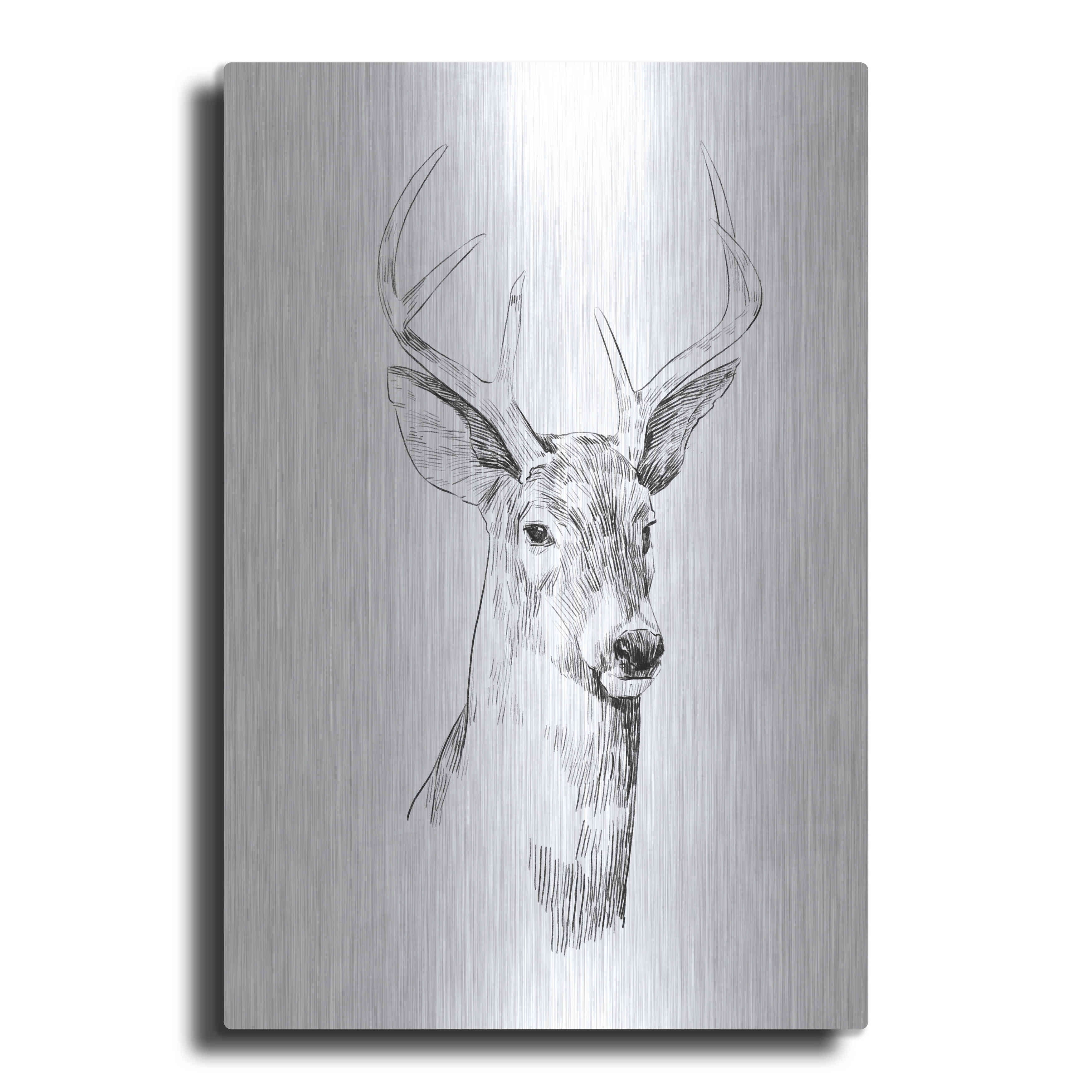 Luxe Metal Art 'Young Buck Sketch I' by Emma Scarvey, Metal Wall Art ...