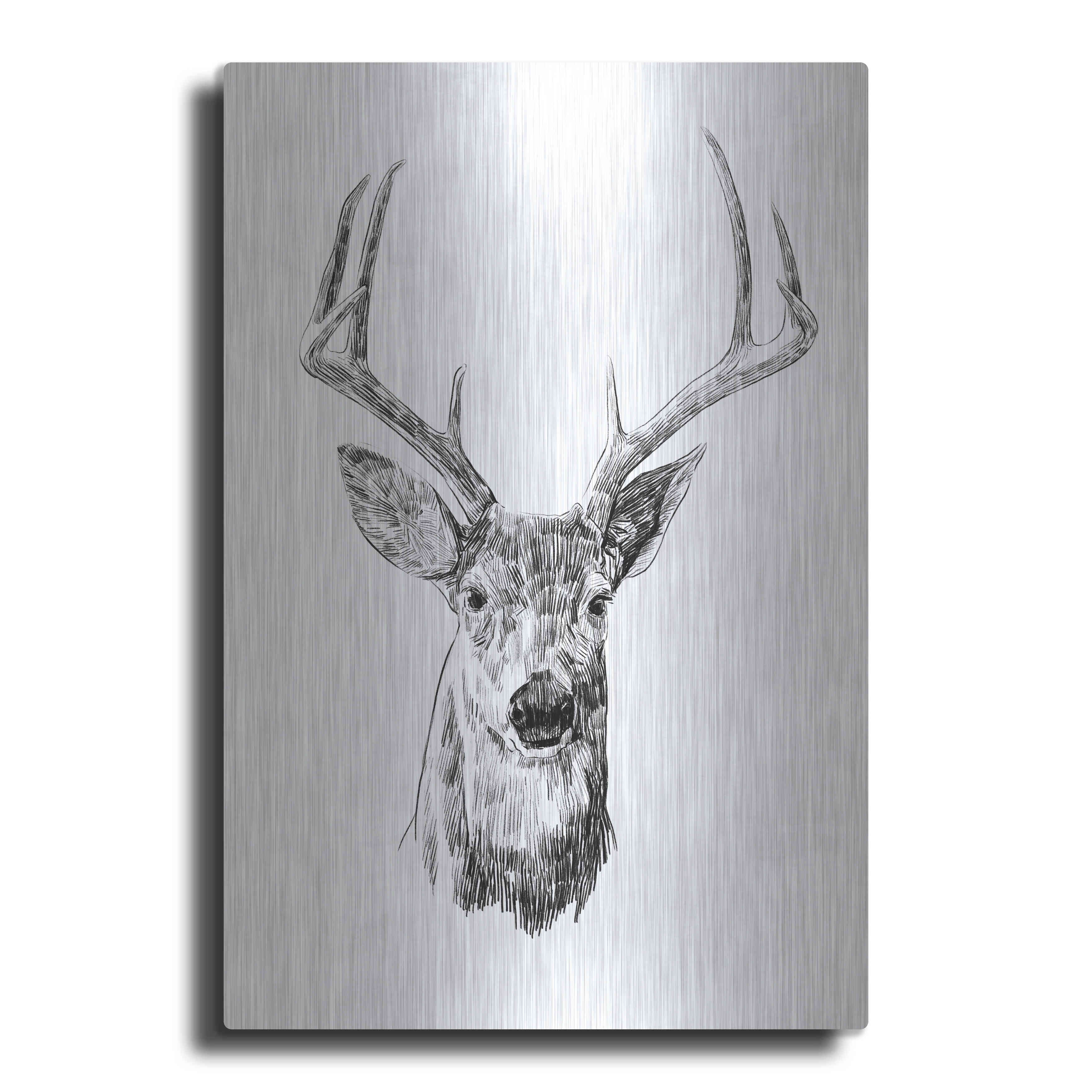 Luxe Metal Art 'Young Buck Sketch III' by Emma Scarvey, Metal Wall Art ...