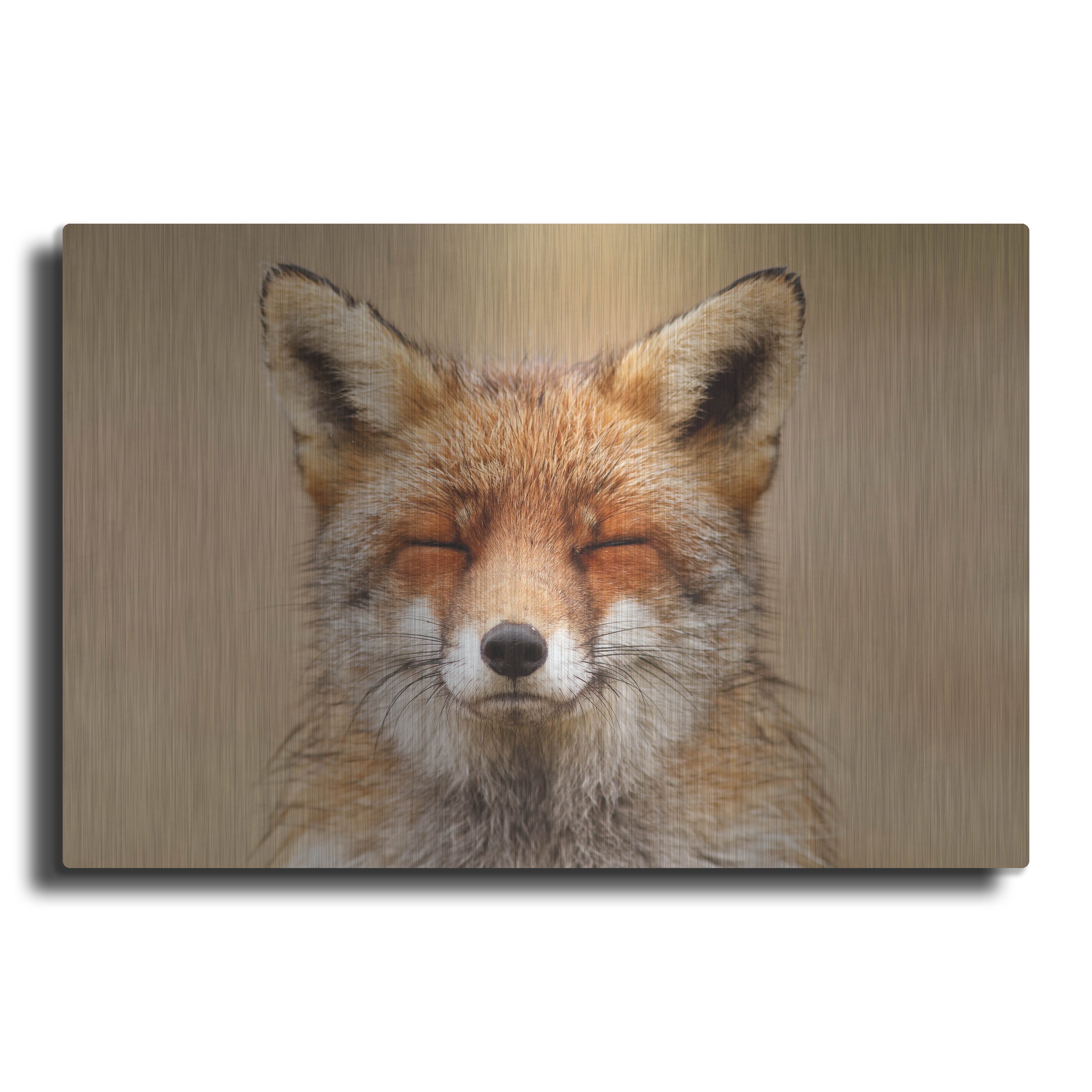 Luxe Metal Art ' Zen Fox Red Portrait' by Roeselien Raimond, Metal Wall ...