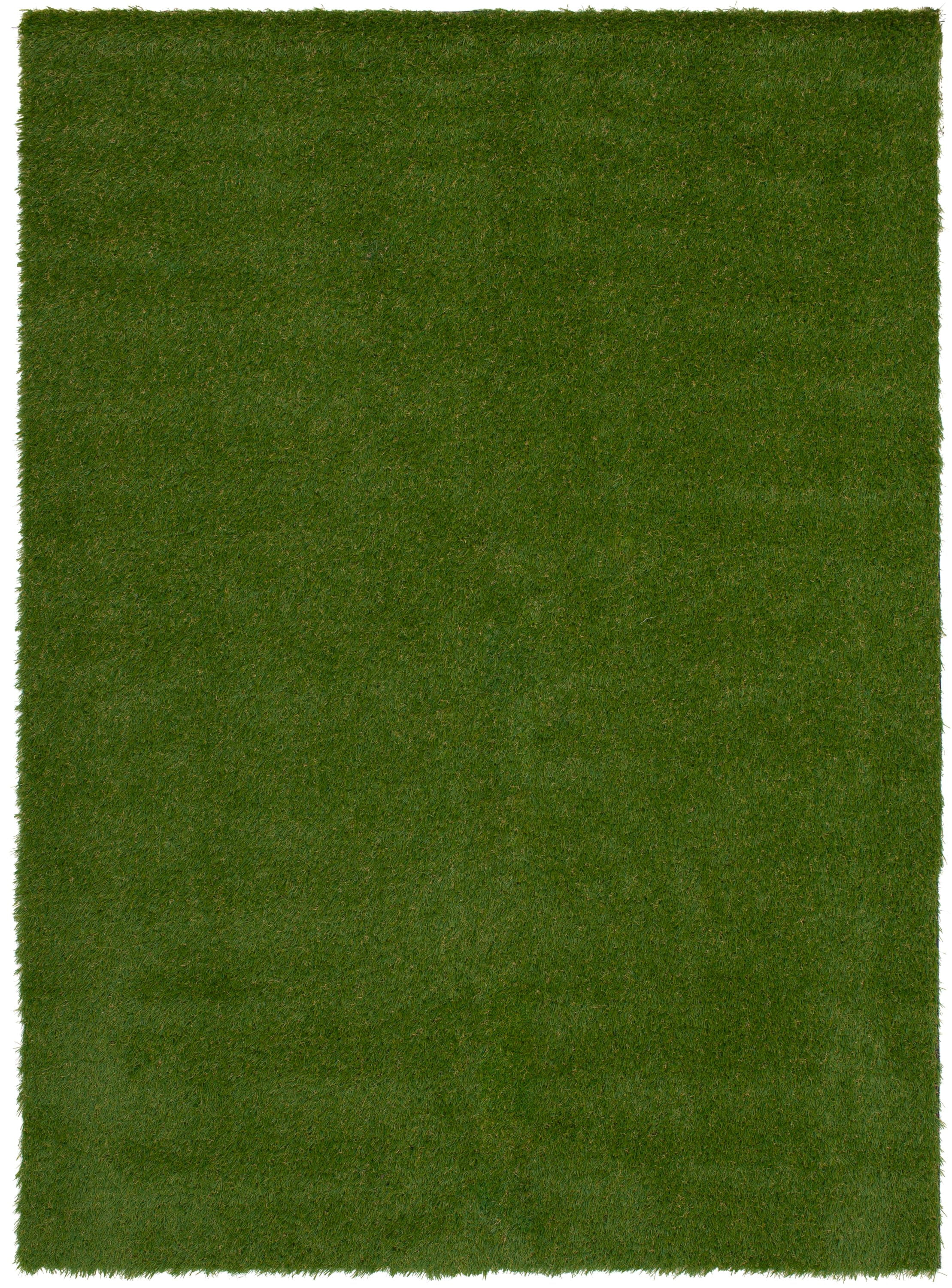 Free Shipping! Luxe Turf 5' x 7' Premium Artificial Grass Area Rug for ...