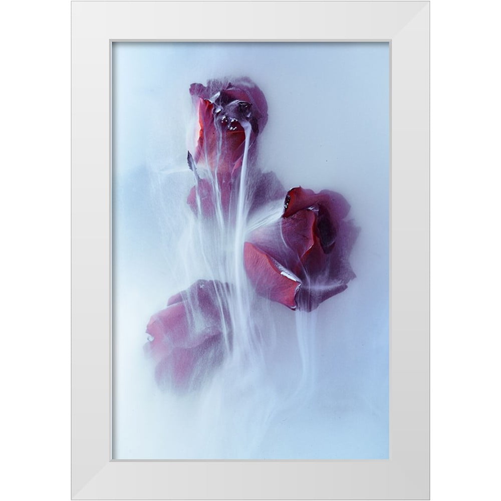 Luxemburger, Franz 11x14 White Modern Wood Framed Museum Art Print ...
