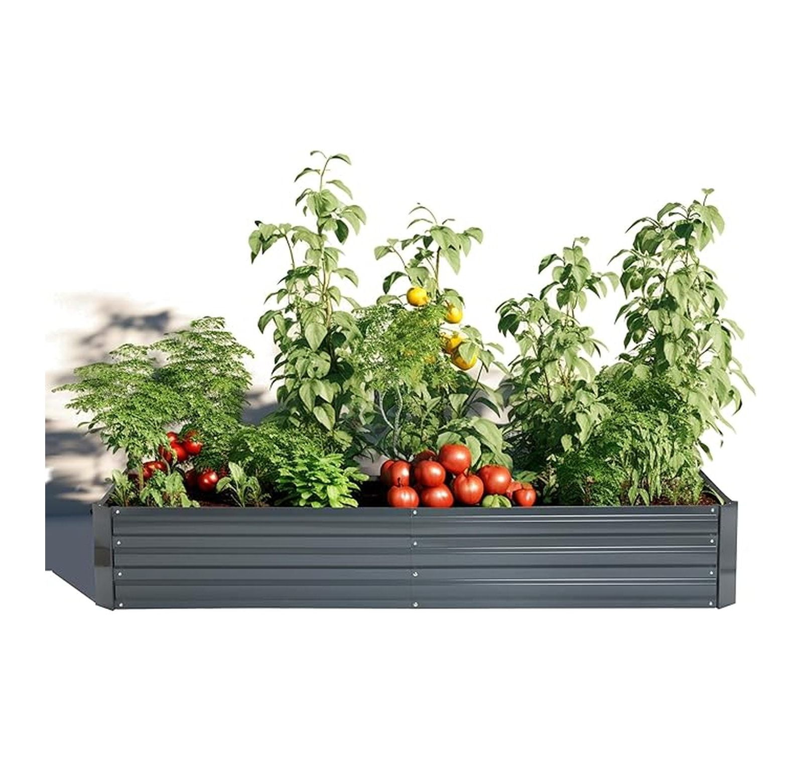 LuxenHome Galvanized Raised Garden Bed Kit, 6x3x1ft Raised Garden Bed ...