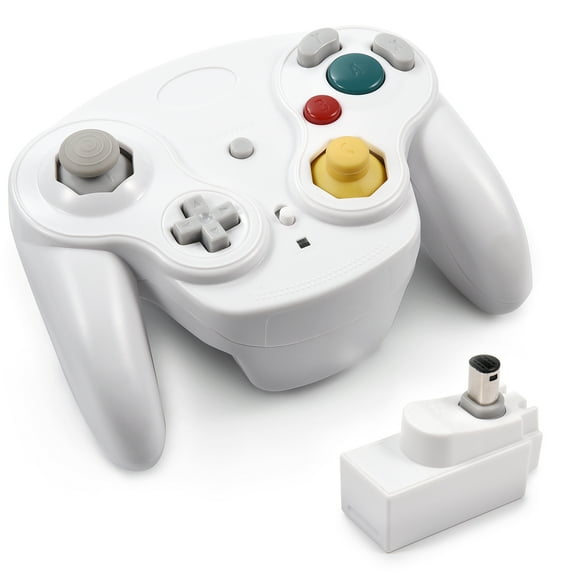 Nintendo Wii Controllers